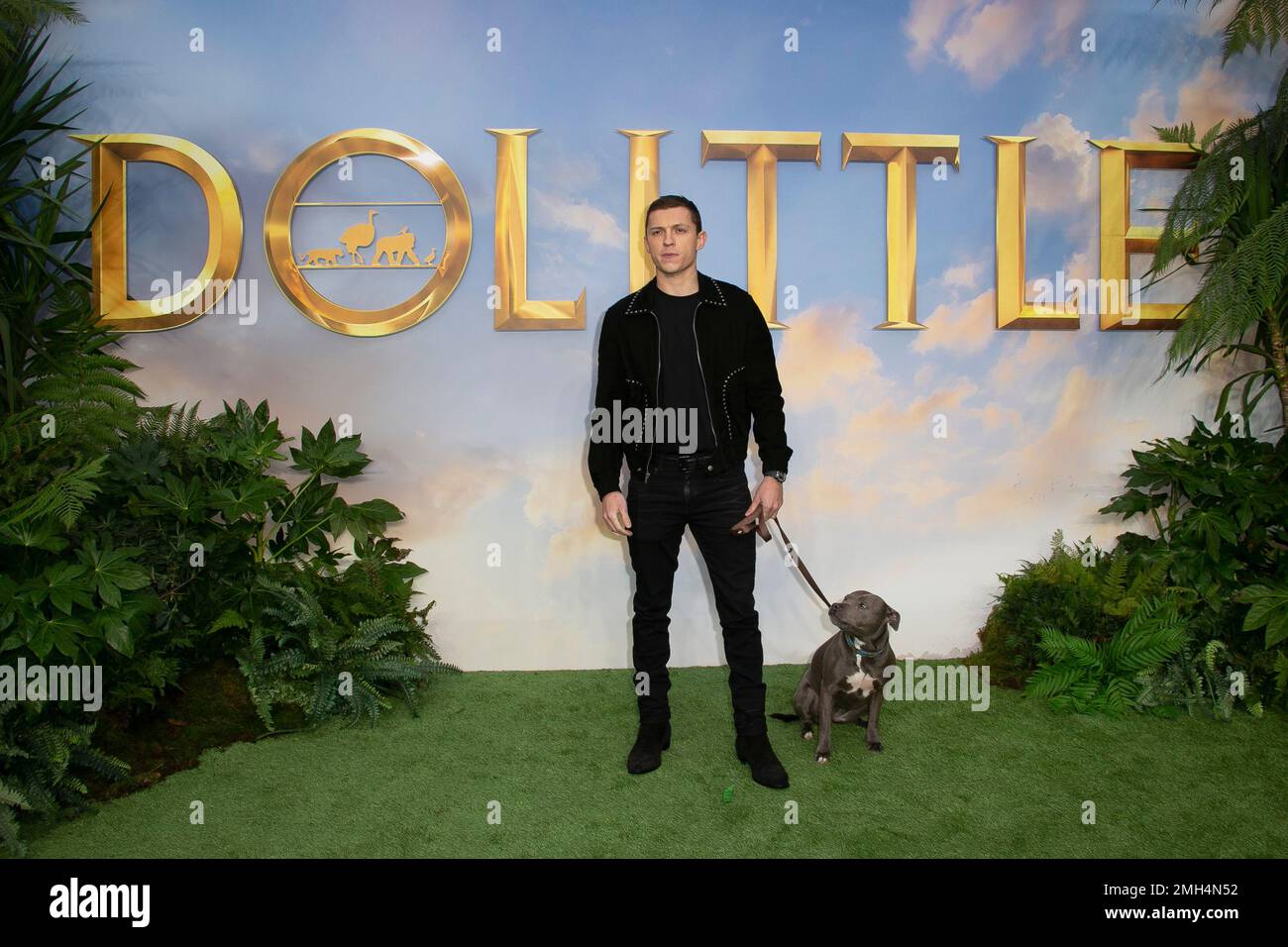 Actor Tom Holland arrives with his dog Tessa at a screening for ...