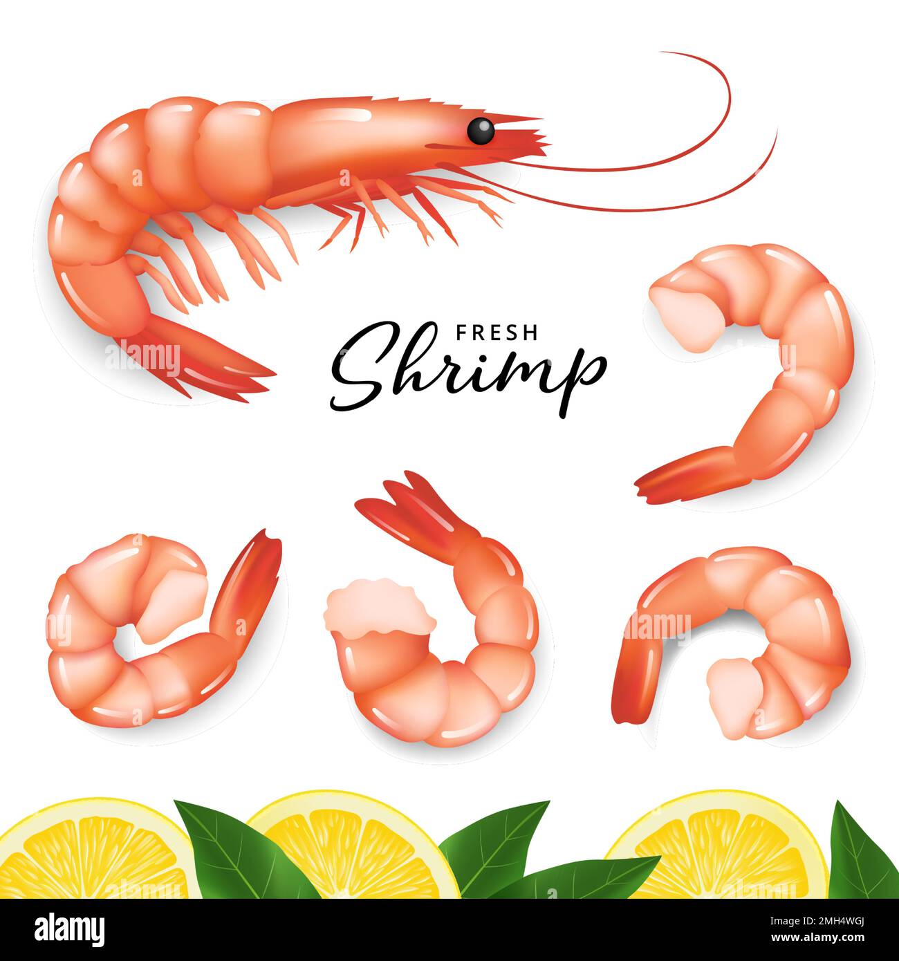 Cooked tail on shrimp Stock Vector Images - Alamy