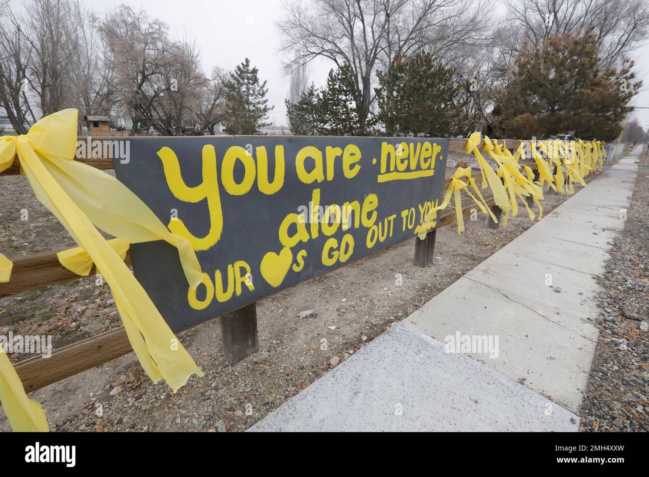 Ribbons line the street to honor the Haynie family, Friday, Jan. 24 ...