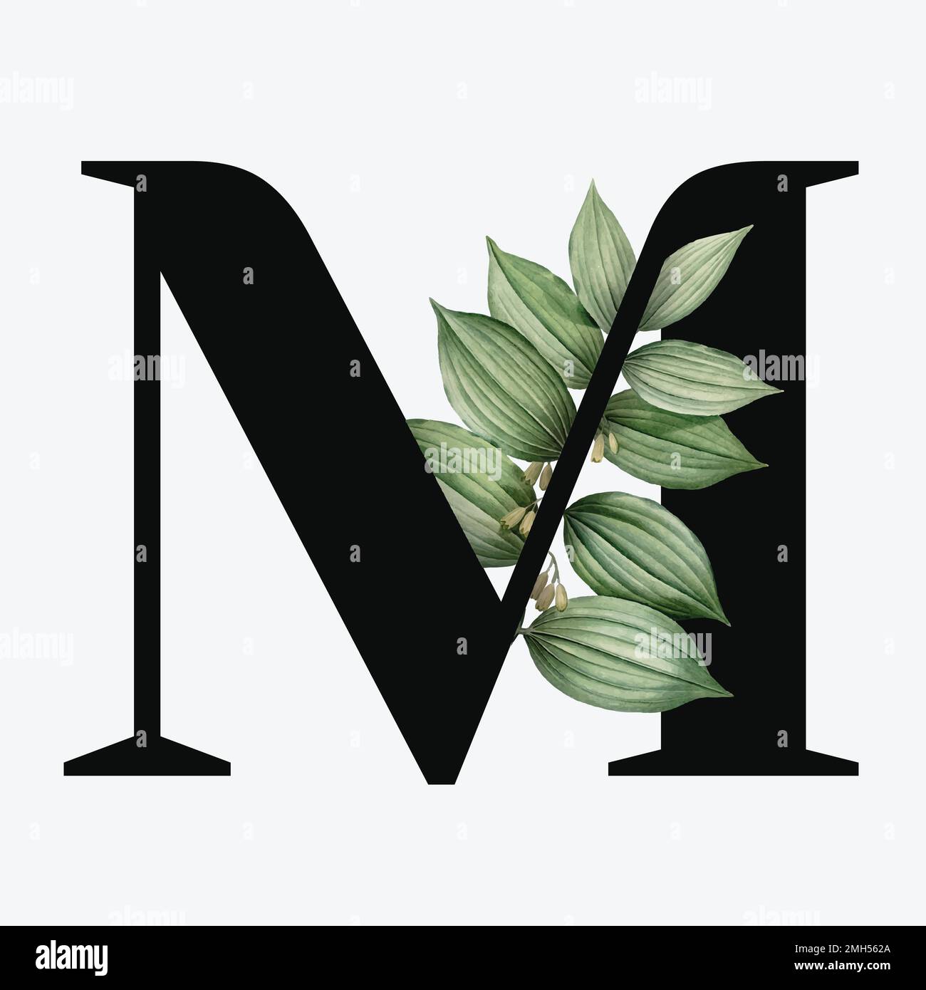 Botanical capital letter M vector Stock Vector Image & Art - Alamy