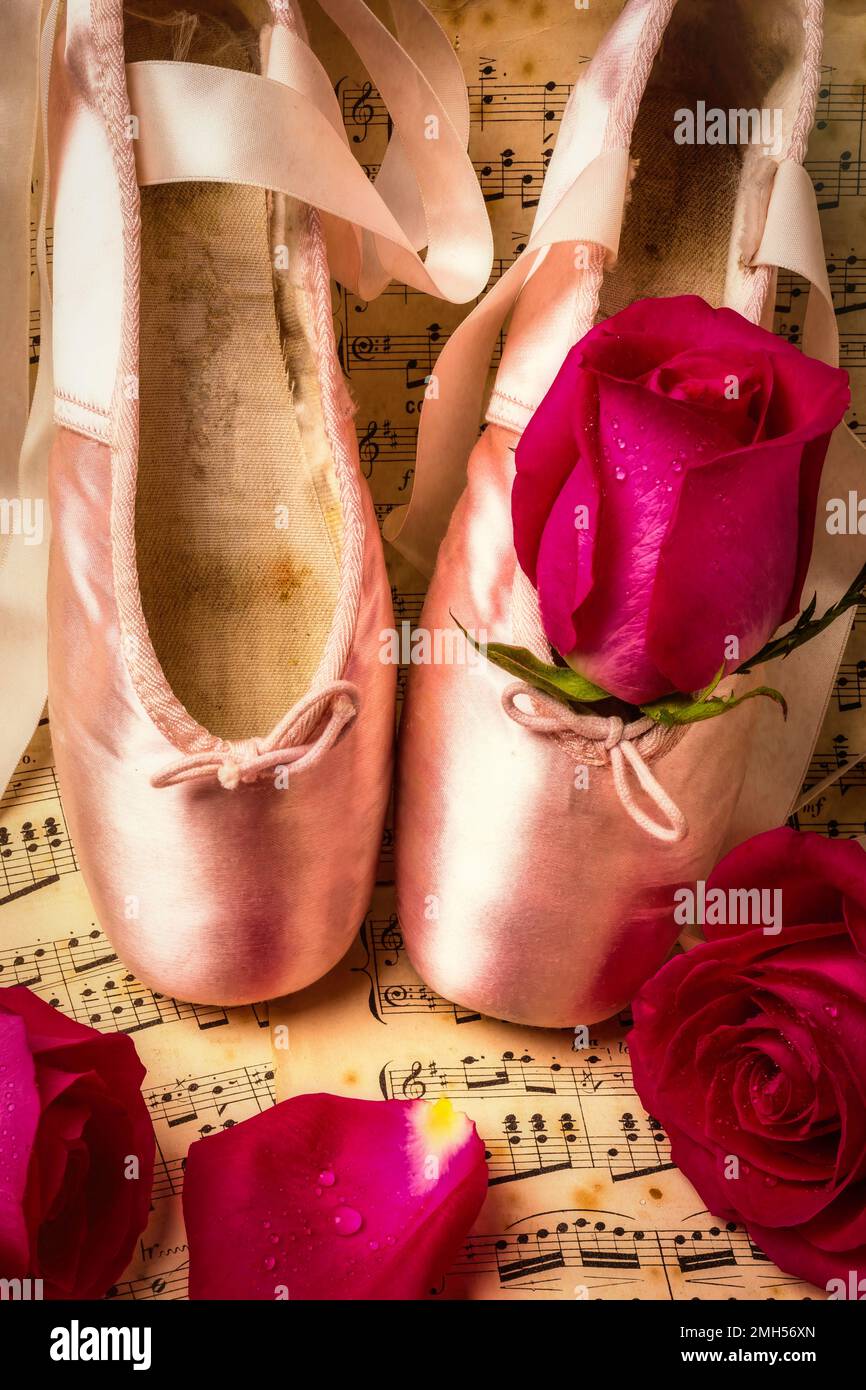 Rose and slippers hi-res stock photography and images - Alamy