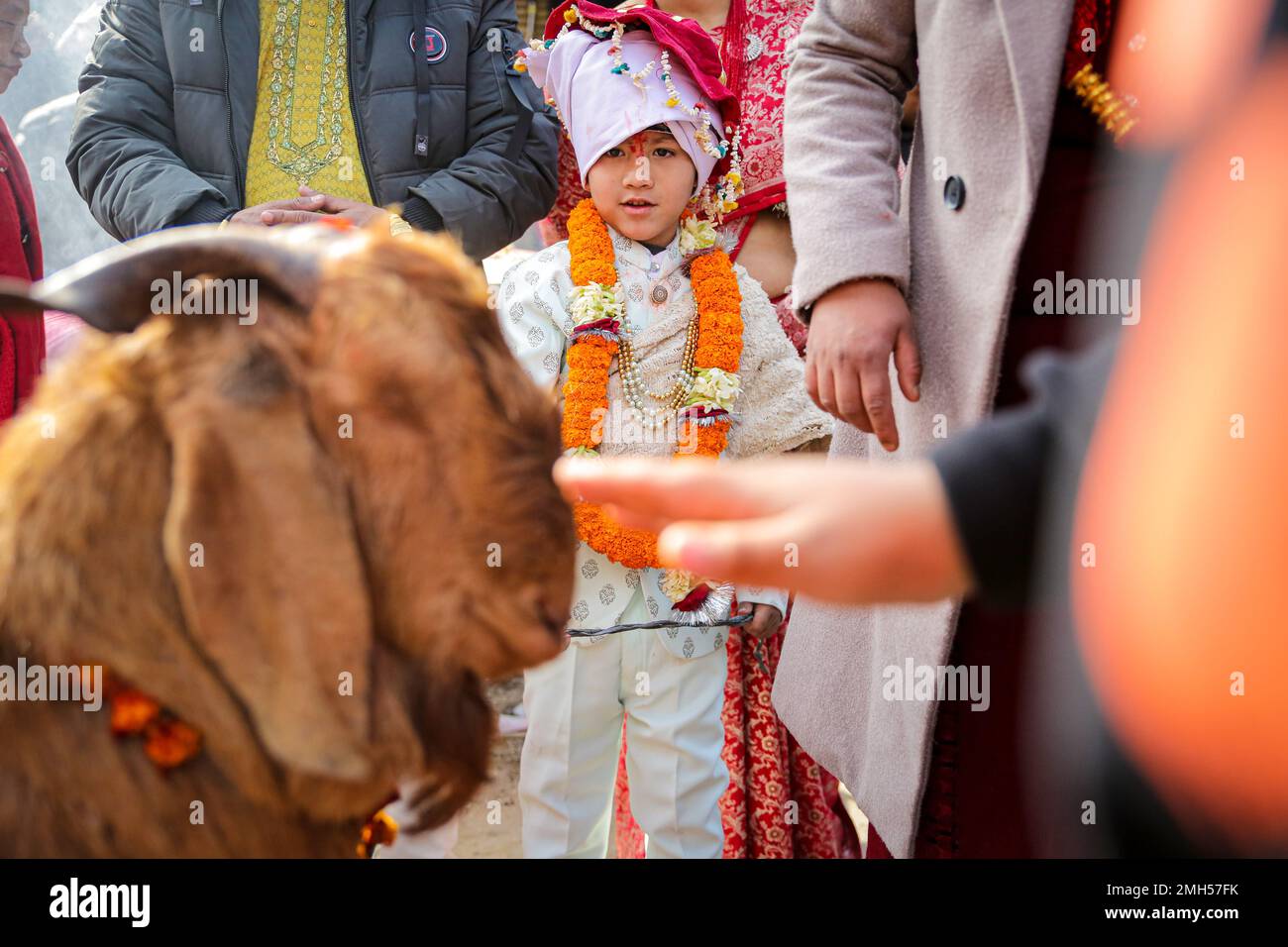 Nepal. 26th Jan, 2023. A young boy stares at a goat before it is ...