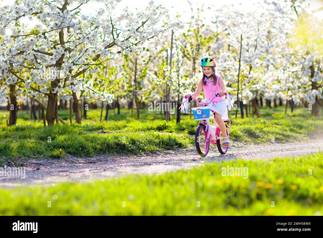 Kid on bike in blooming spring park. Girl riding bicycle under cherry ...