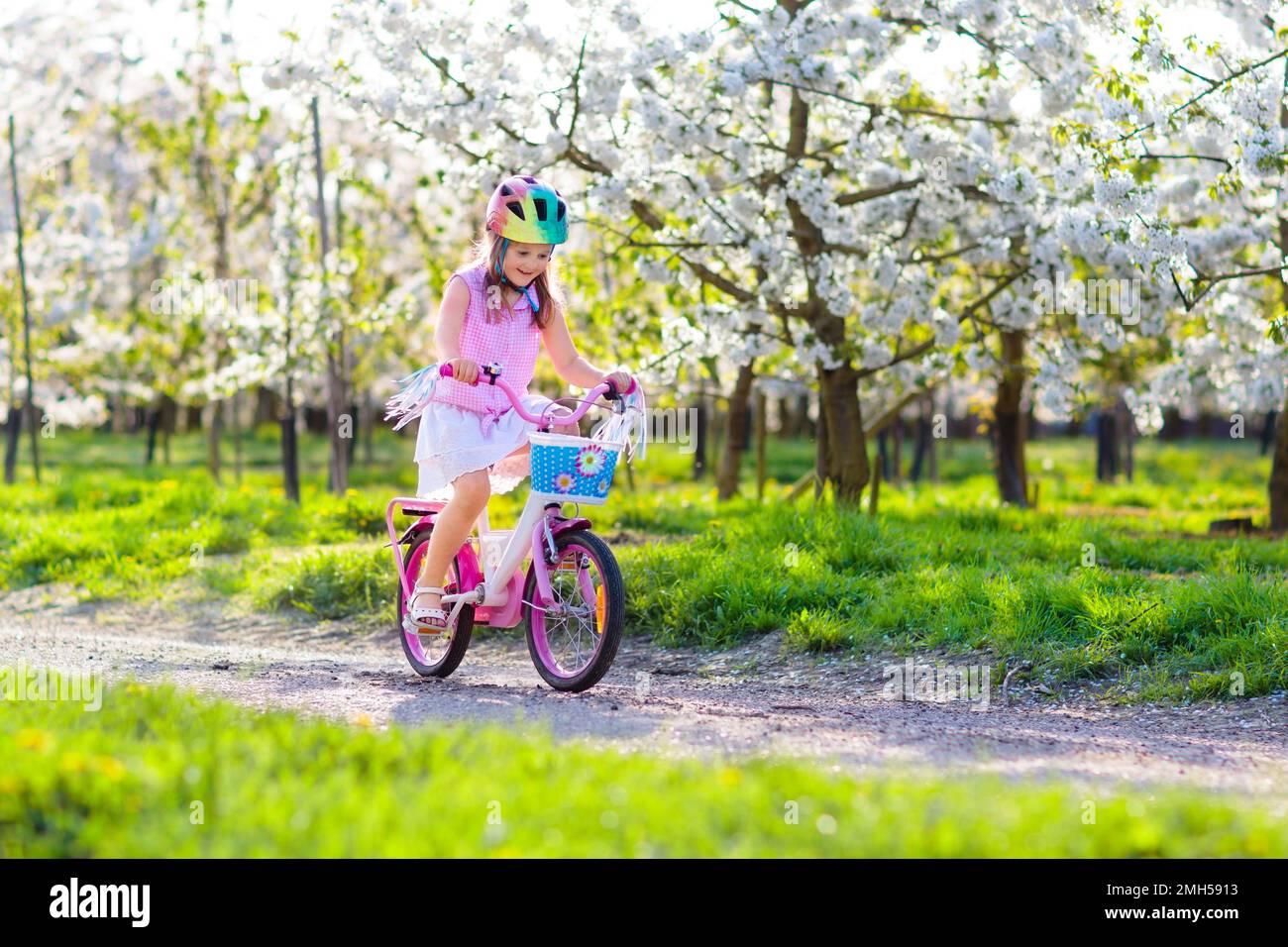 Kid on bike in blooming spring park. Girl riding bicycle under cherry ...