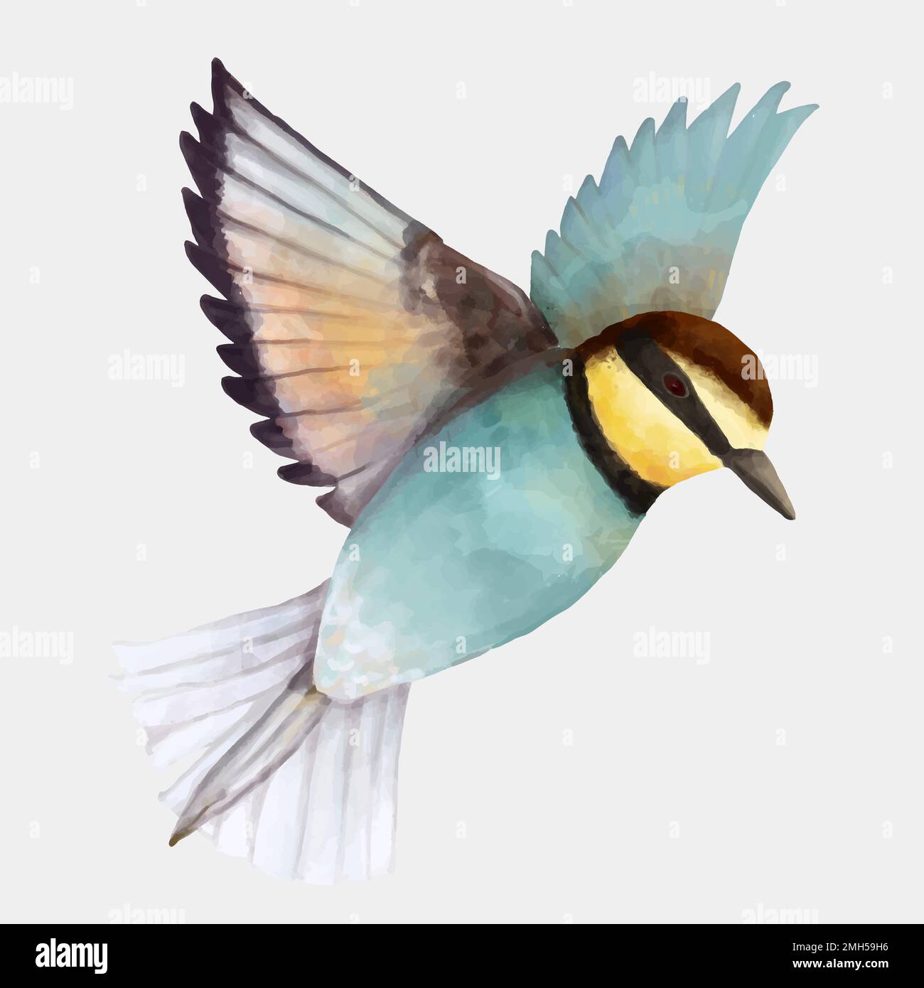 Colorful blue bird vector watercolor clipart Stock Vector Image & Art ...