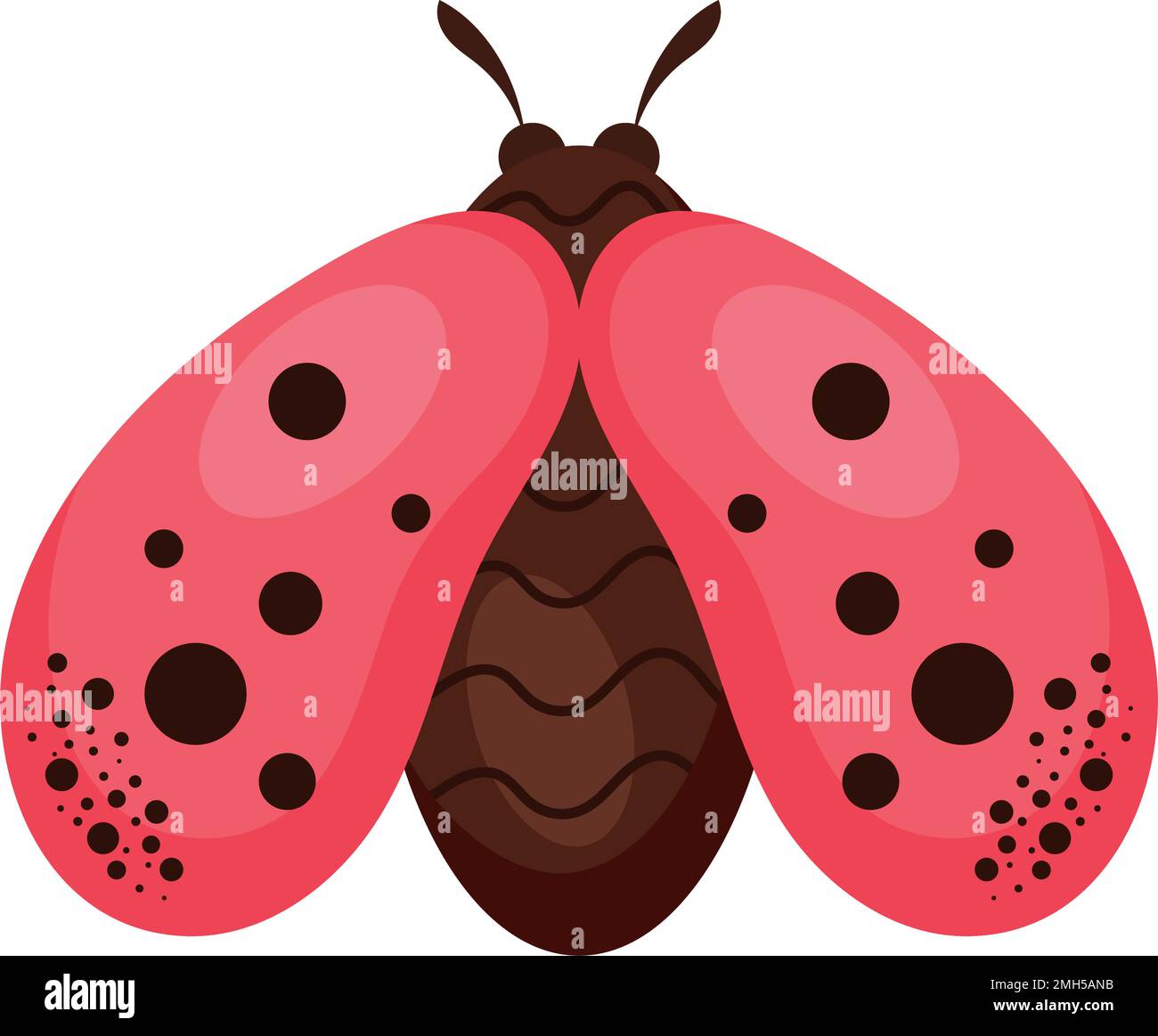 ladybug insect flying Stock Vector Image & Art - Alamy