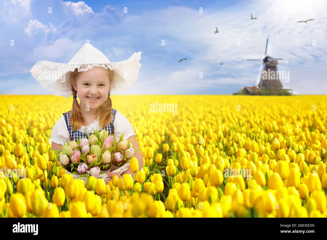 Child in tulip flower field with windmill in Holland. Little Dutch girl ...