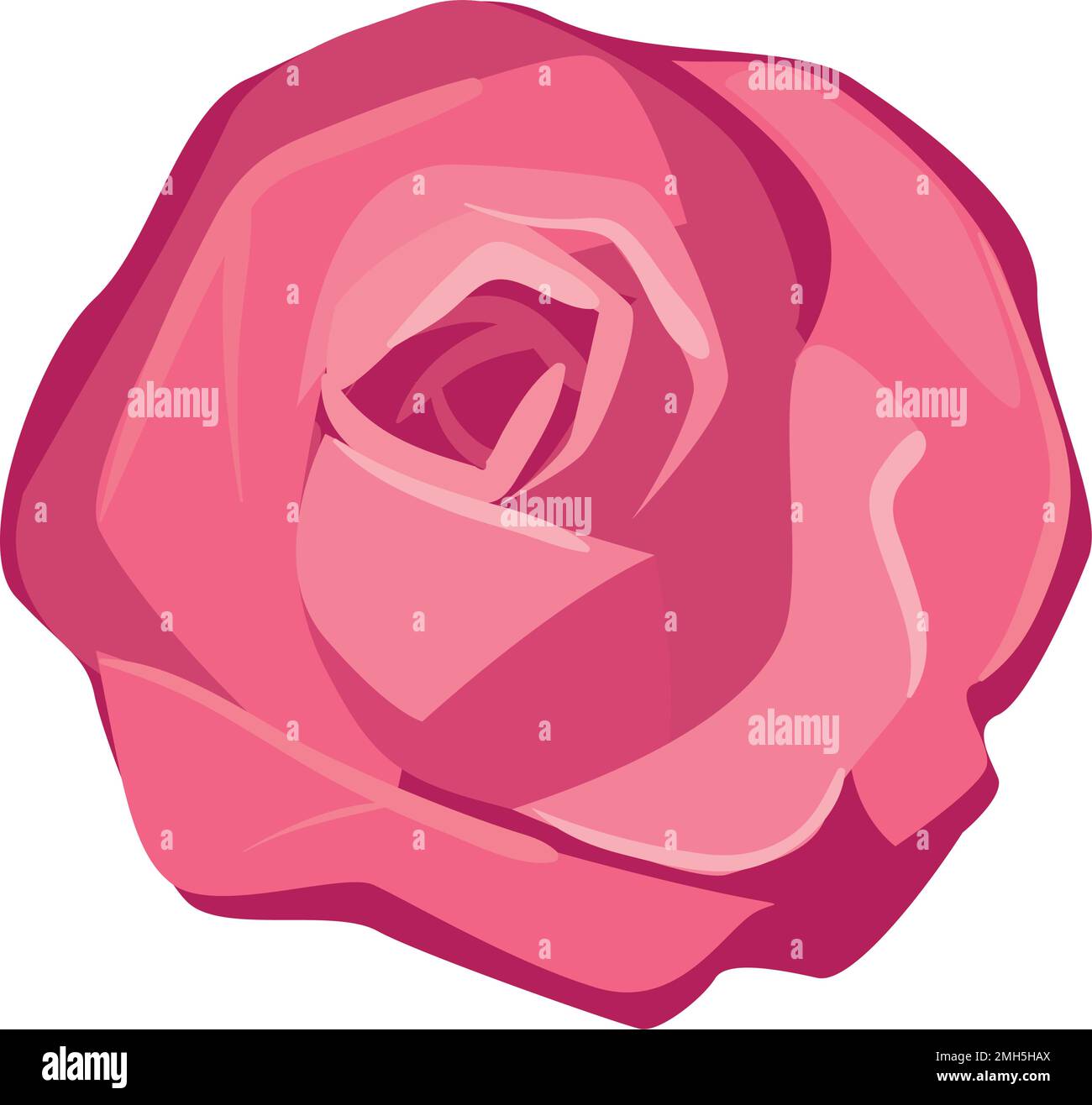 flat beautiful rose illustration Stock Vector Image & Art - Alamy