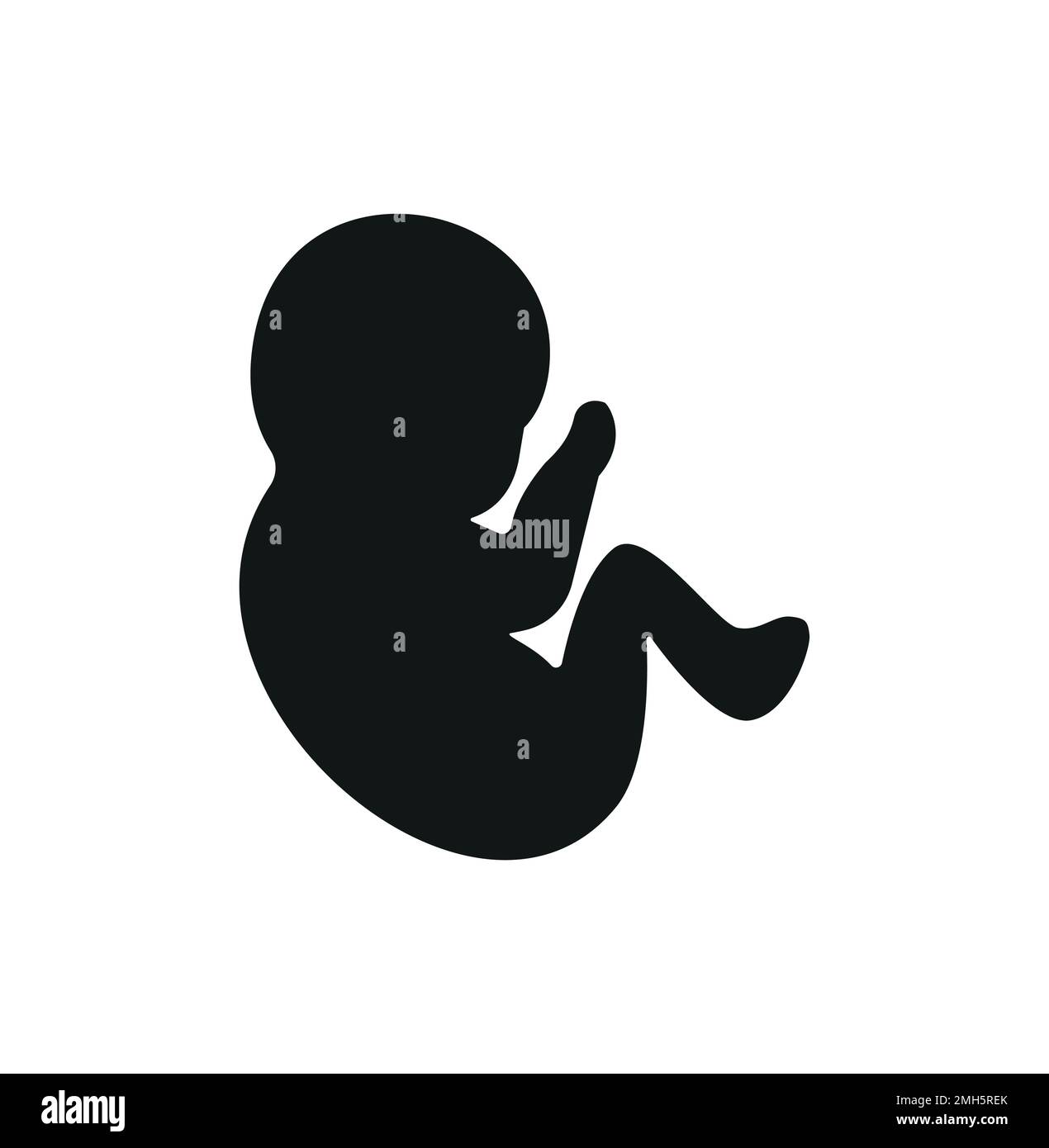 Embryo Silhouette