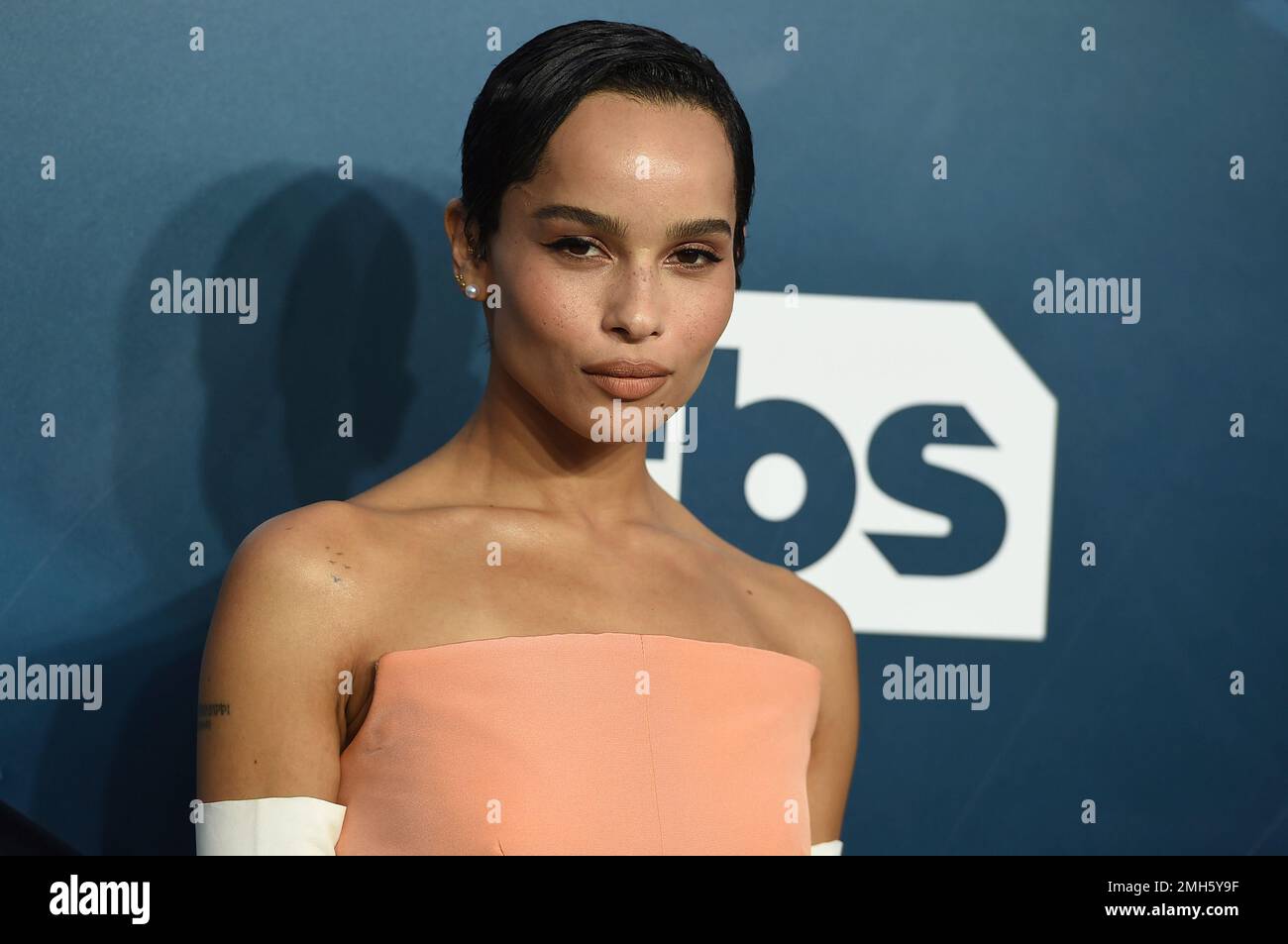 Zoe Kravitz arrives at the 26th annual Screen Actors Guild Awards at ...