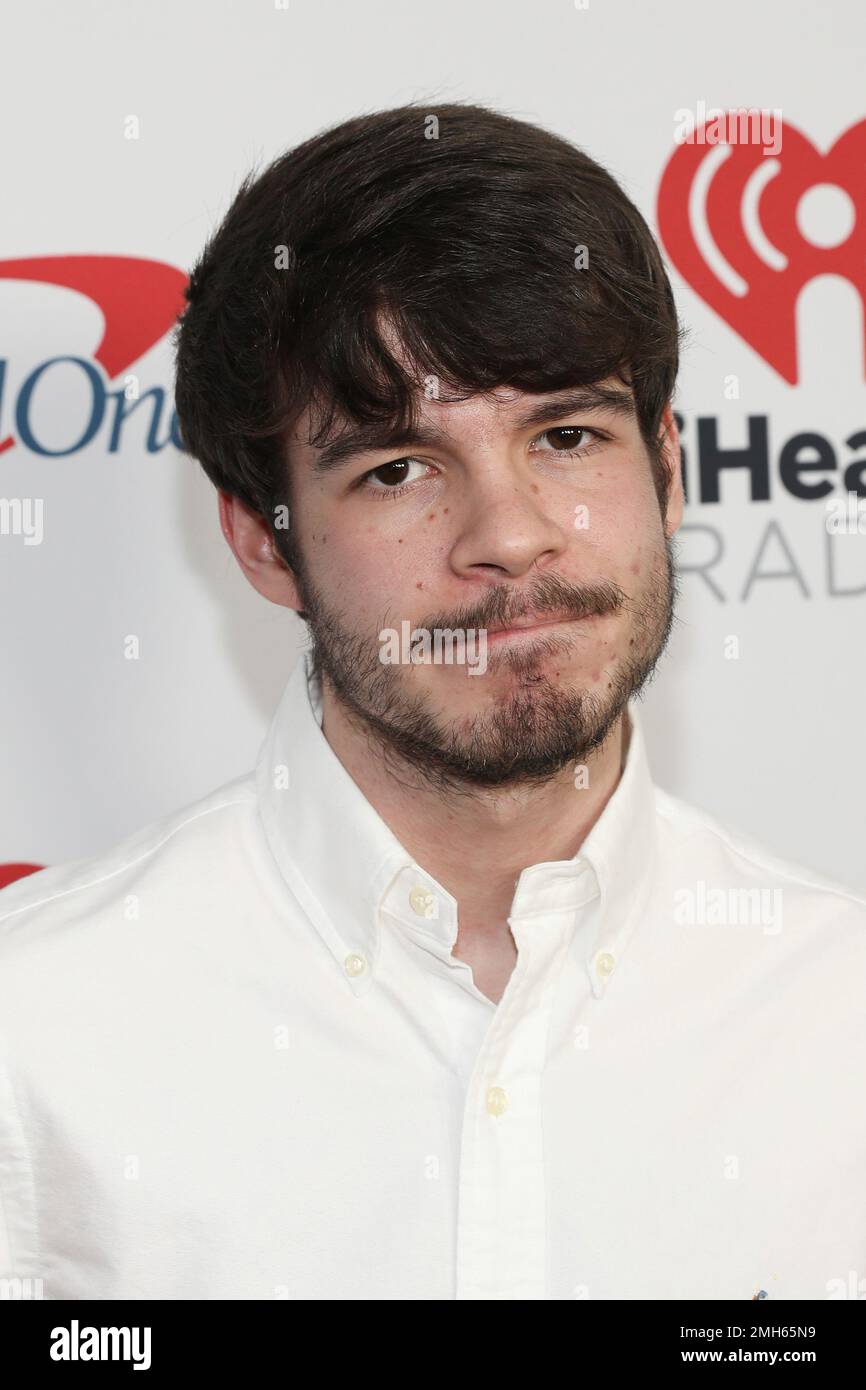 Rex Orange County attends the 2020 iHeartRadio ALTer Ego concert at the ...