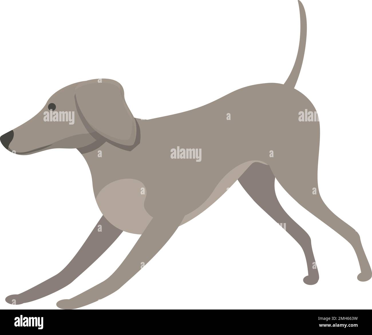 Greyhound play icon cartoon vector. Animal run. Canine sprint Stock ...