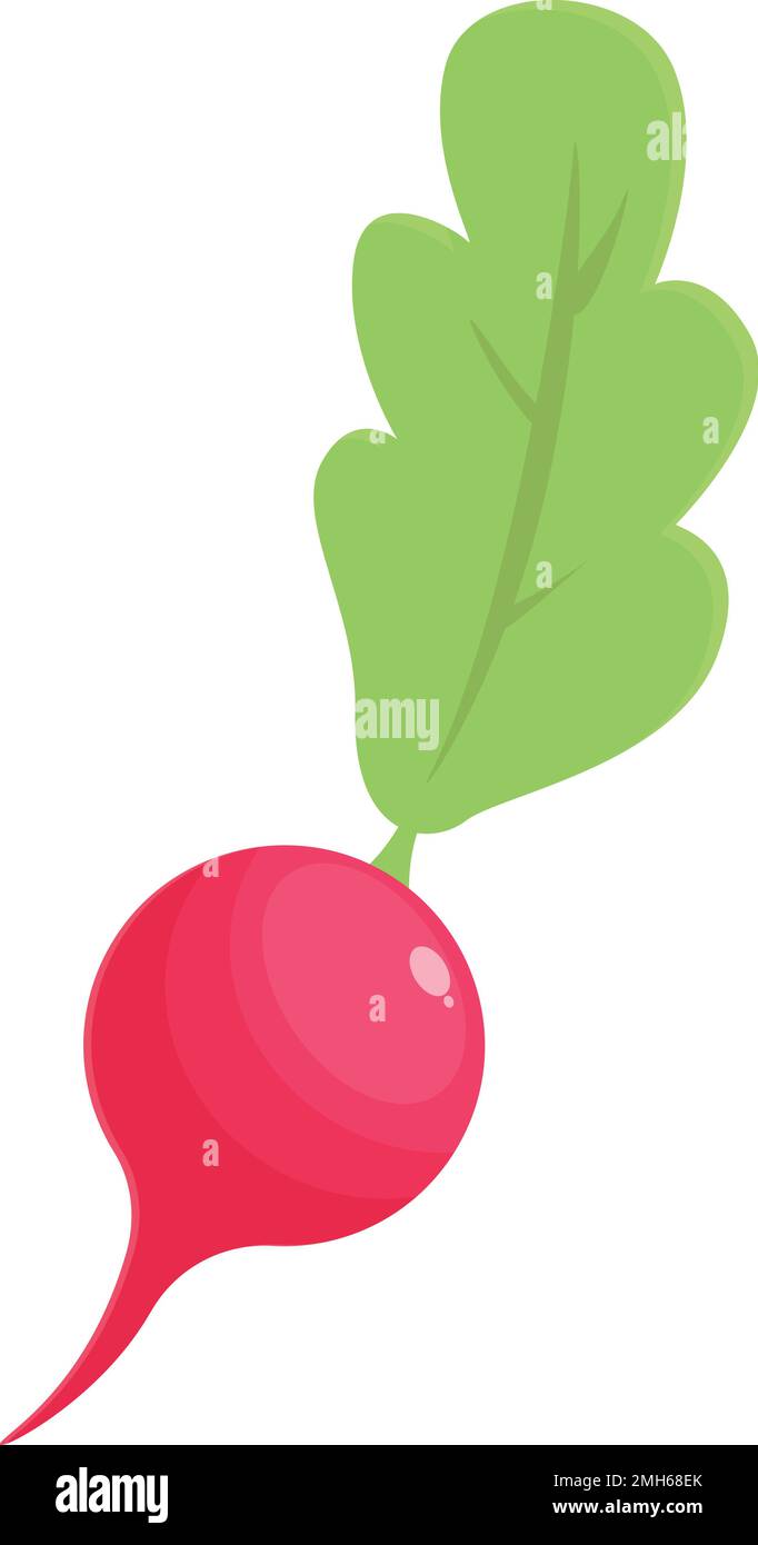 Radish icon cartoon vector. Food plant. Agriculture salad Stock Vector ...
