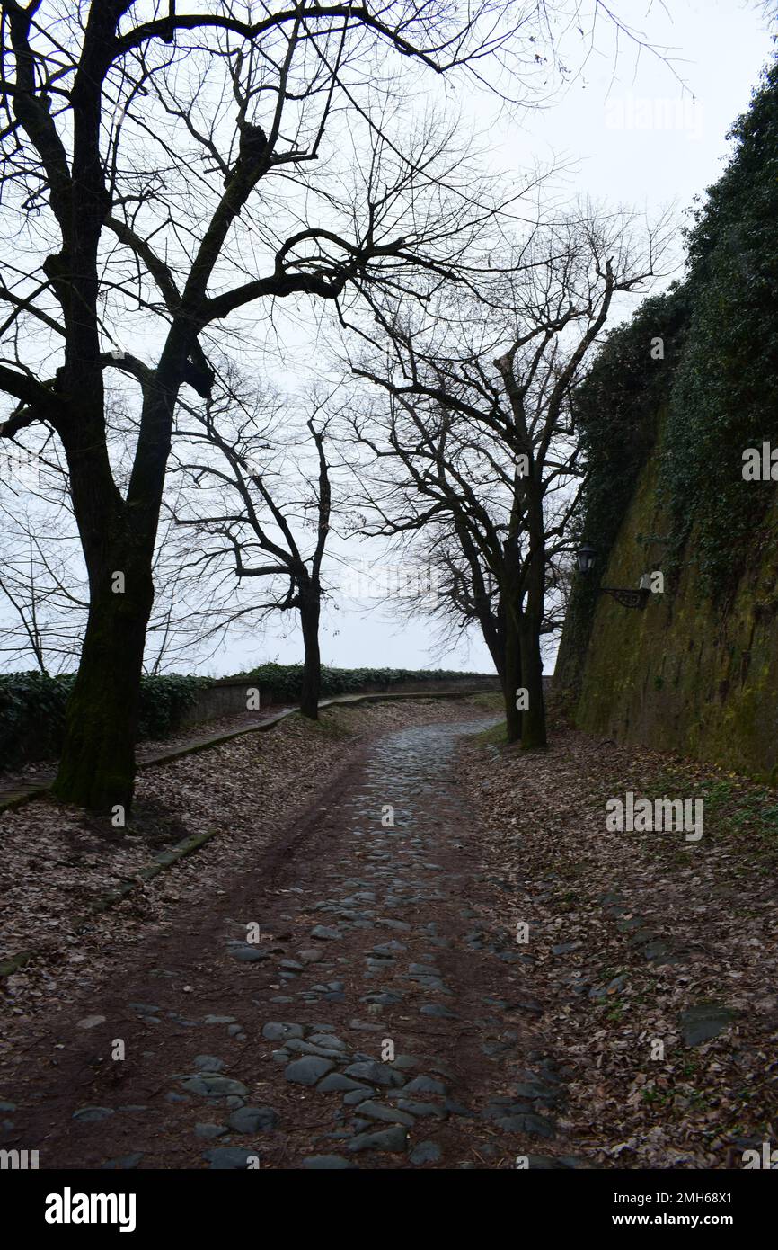 Stone path uphill with a trees and a wall on the right side on a winter ...