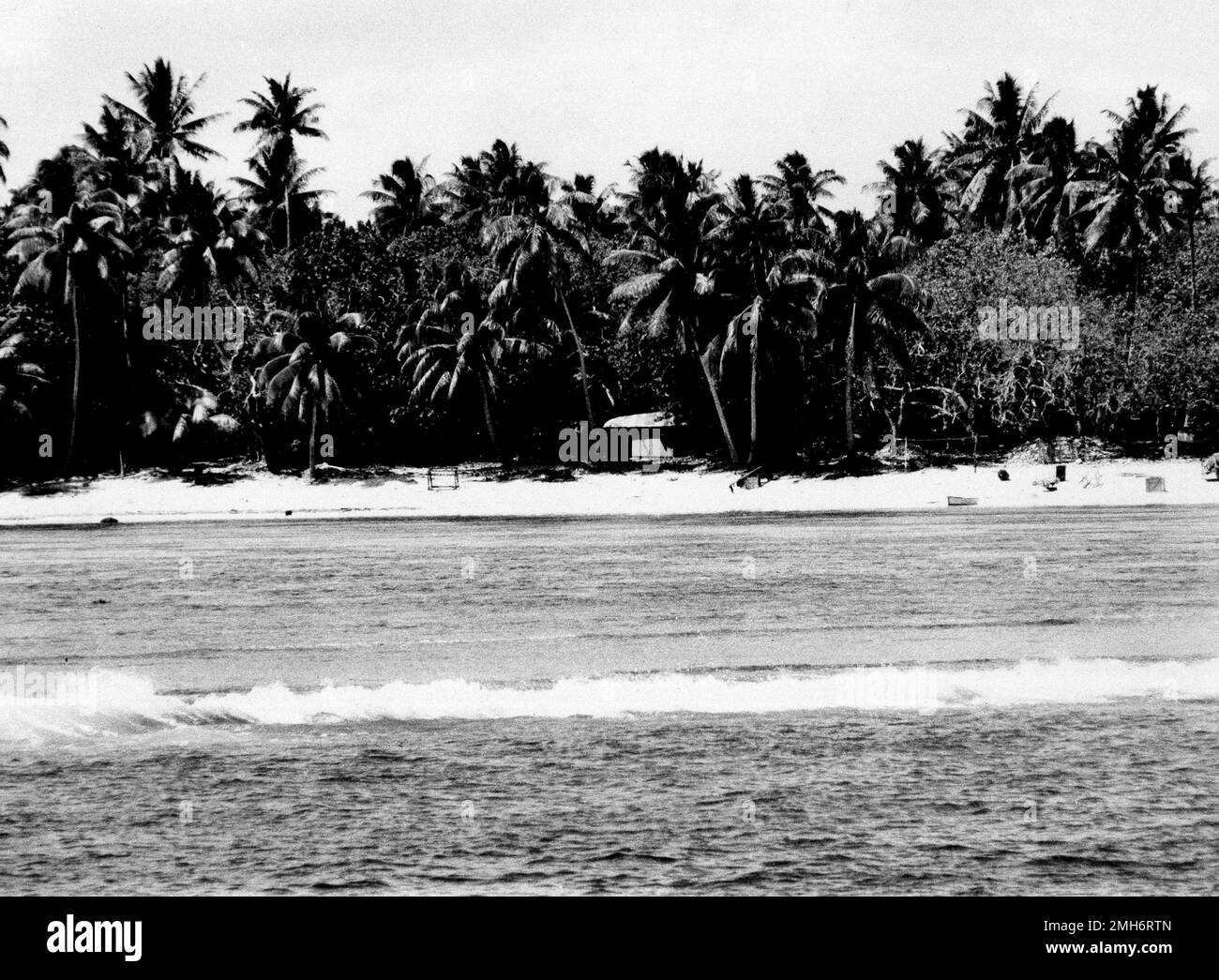 Actor Marlon Brando reportedly has bought himself an island in the ...