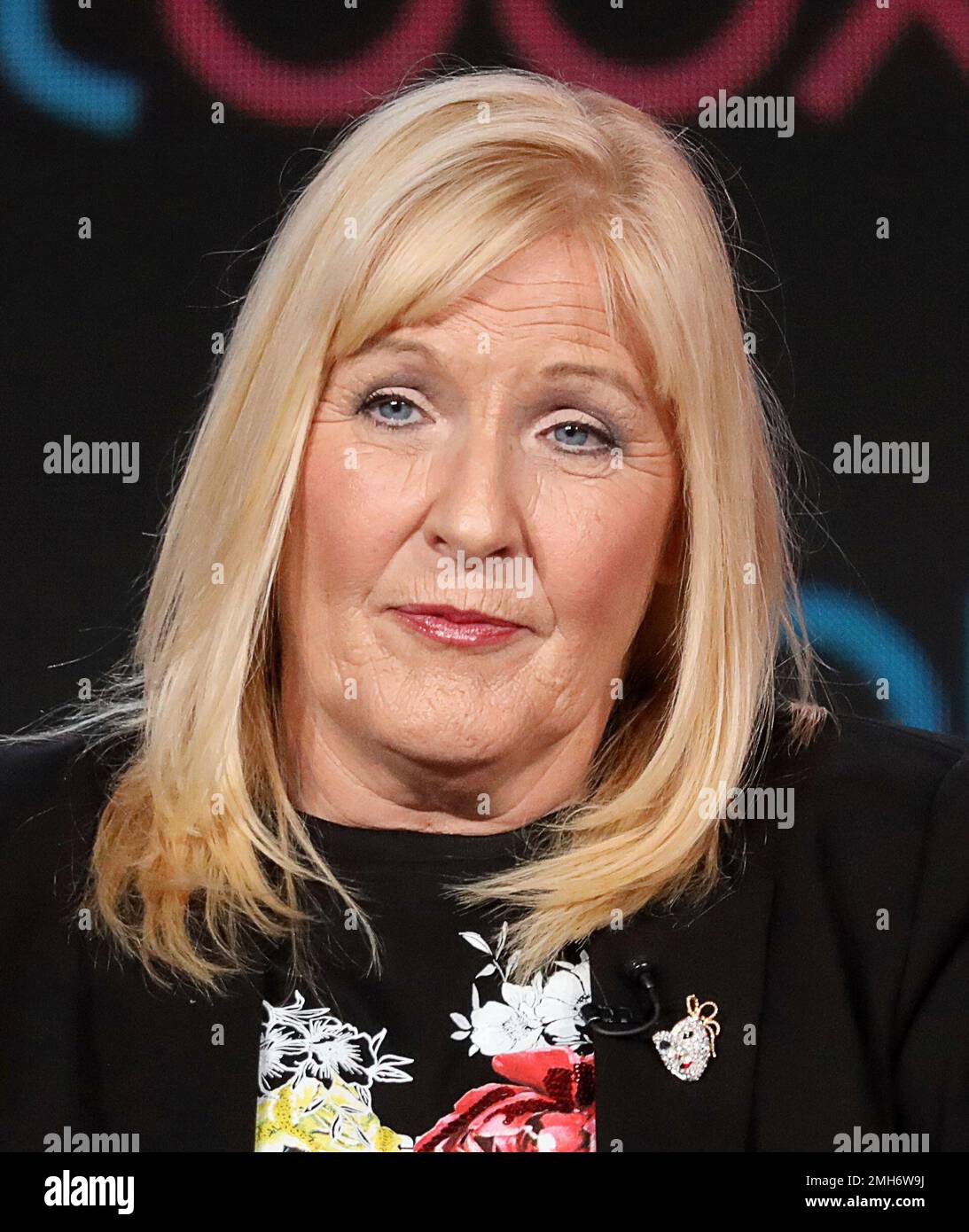 Jennifer Gibney speaks at the "Mrs. Brown's Boys" panel during the ...