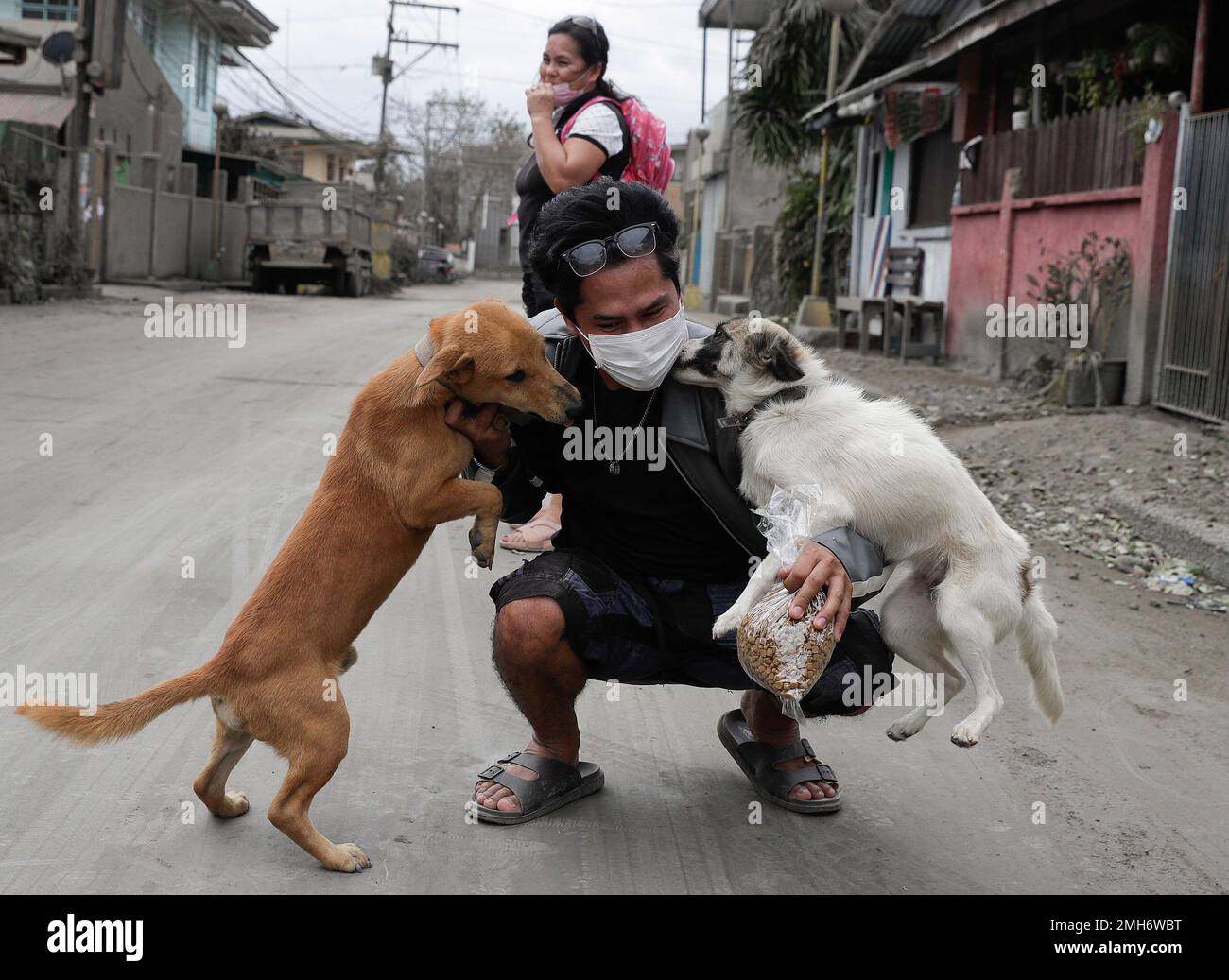 Dogs greet their owner as he returns to check his home at their ...