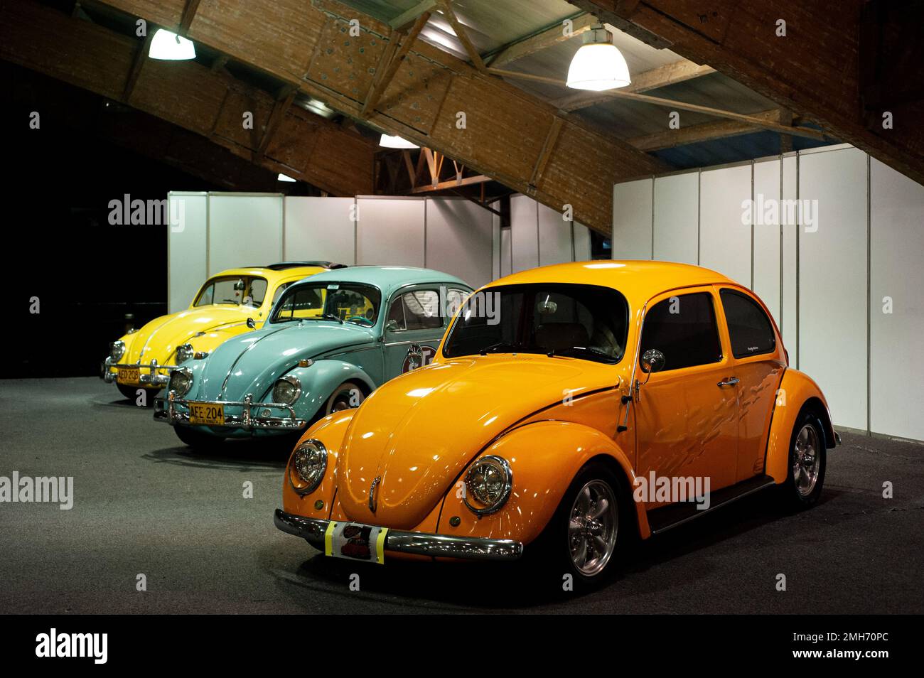Volkswagen Beatle community members set a display of their cars during ...
