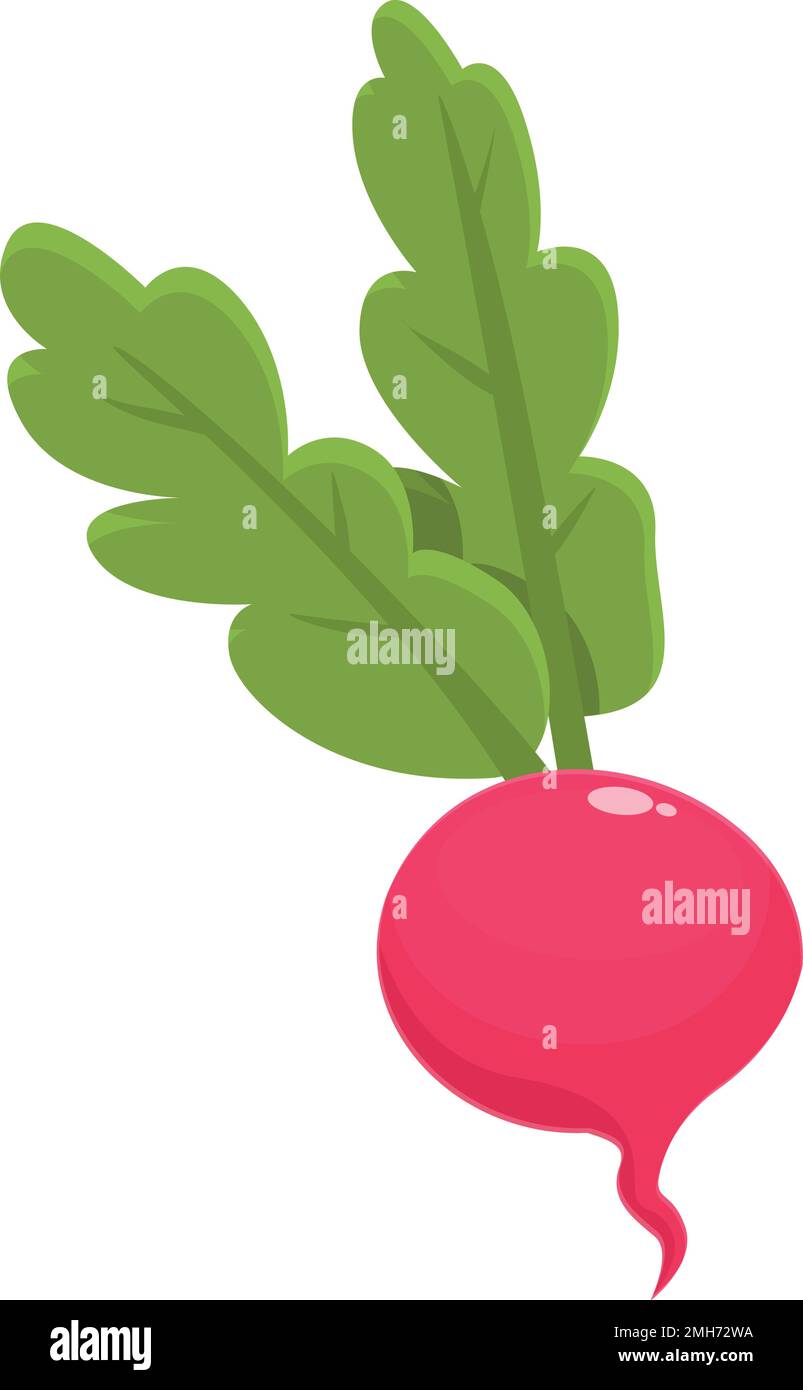 Radish food icon cartoon vector. Salad plant. Vegetarian diet Stock ...