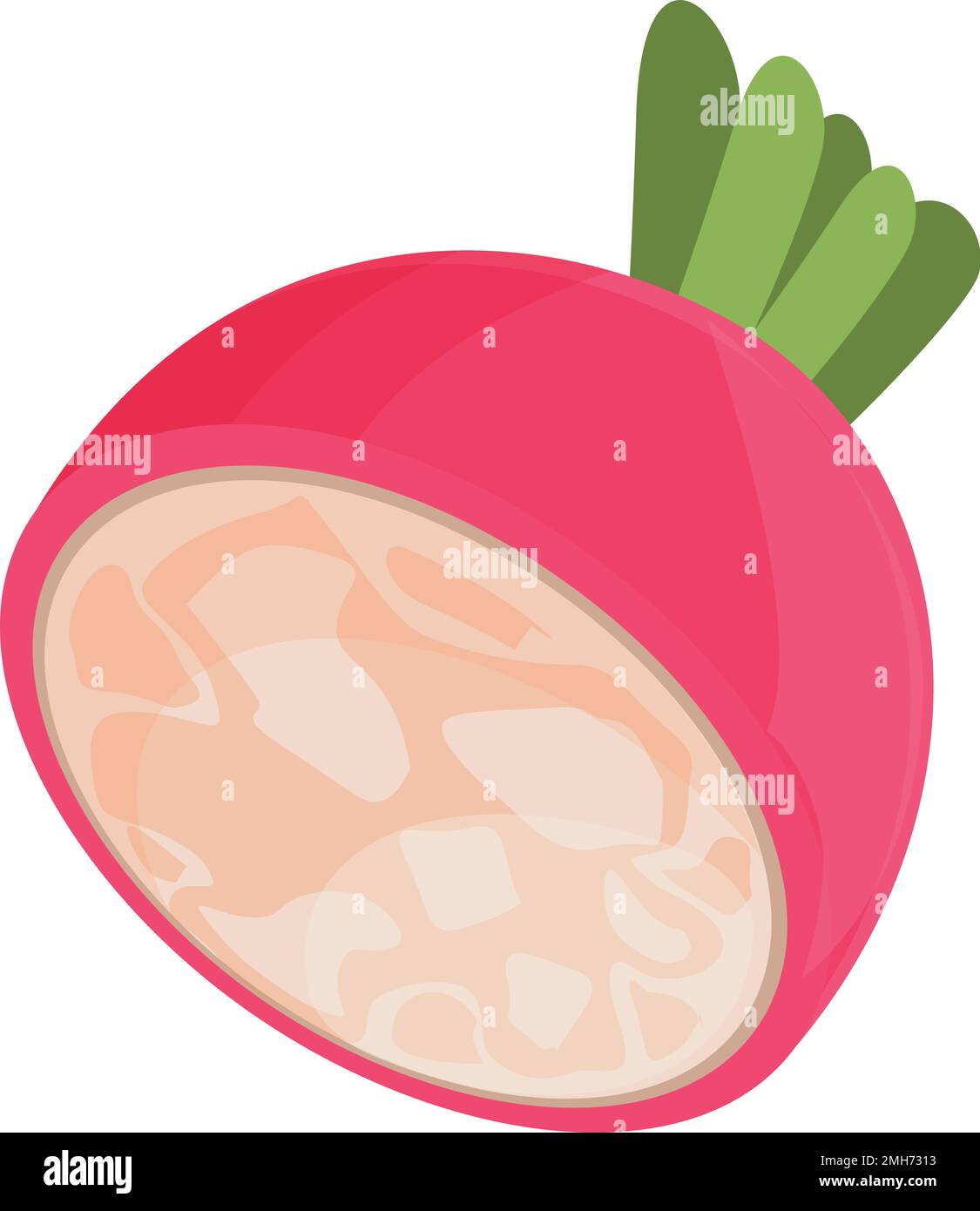 Summer radish icon cartoon vector. Healthy diet. Vitamin color Stock ...