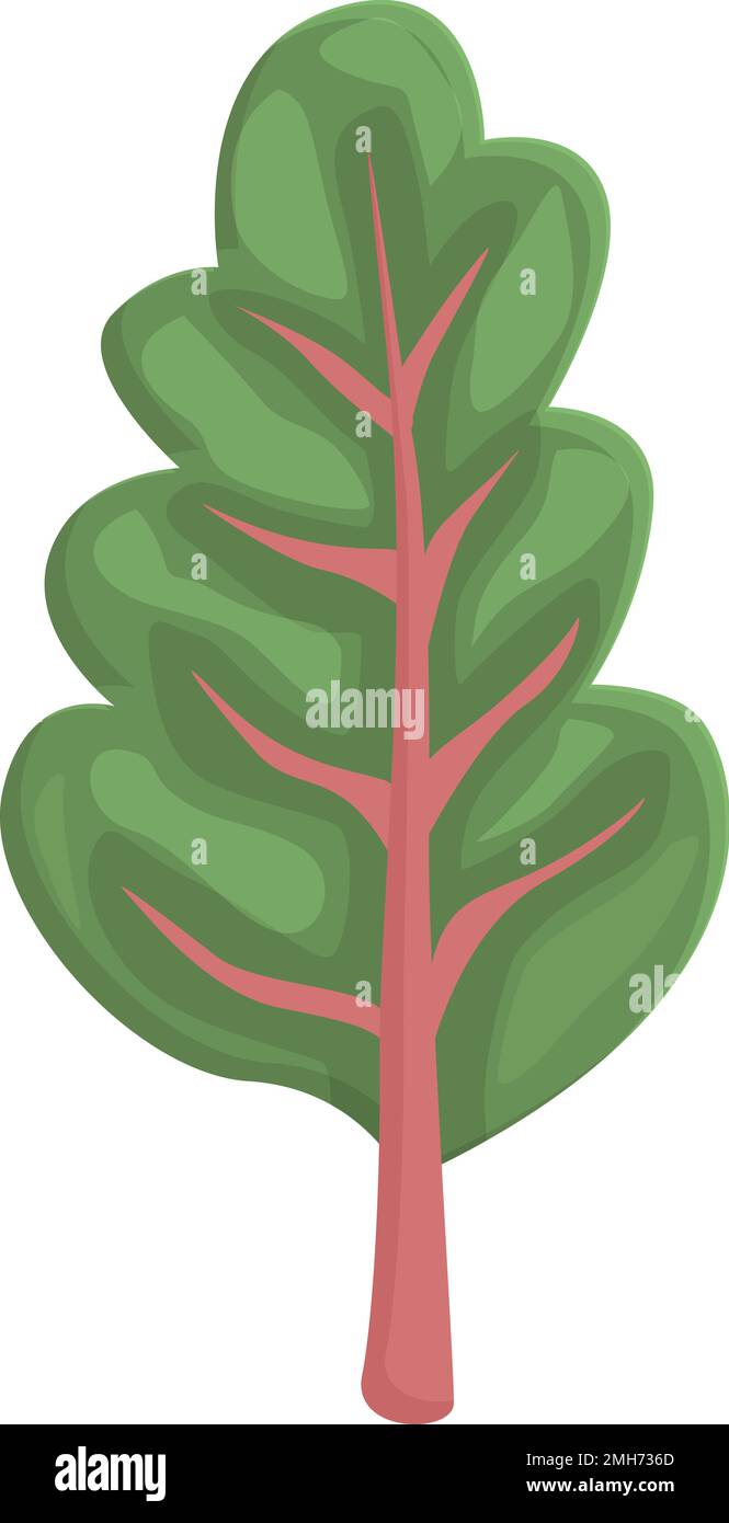 Chard salad icon cartoon vector. Green plant. Swiss food Stock Vector ...