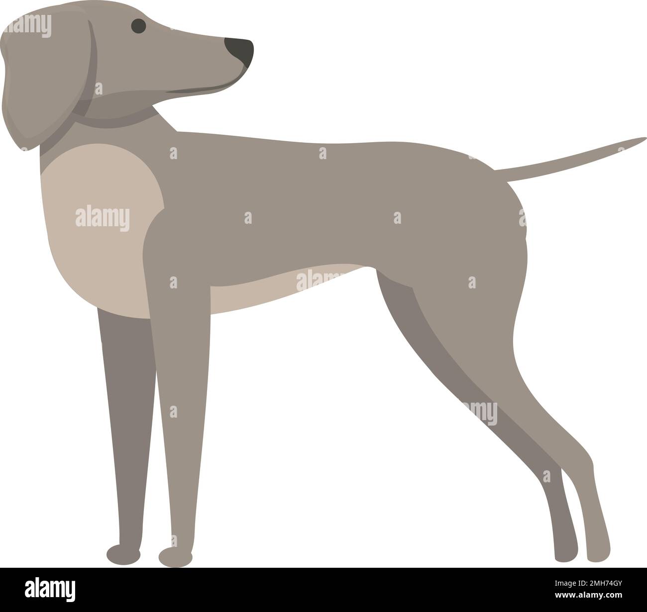 Greyhound icon cartoon vector. Dog animal. Run dog Stock Vector Image ...