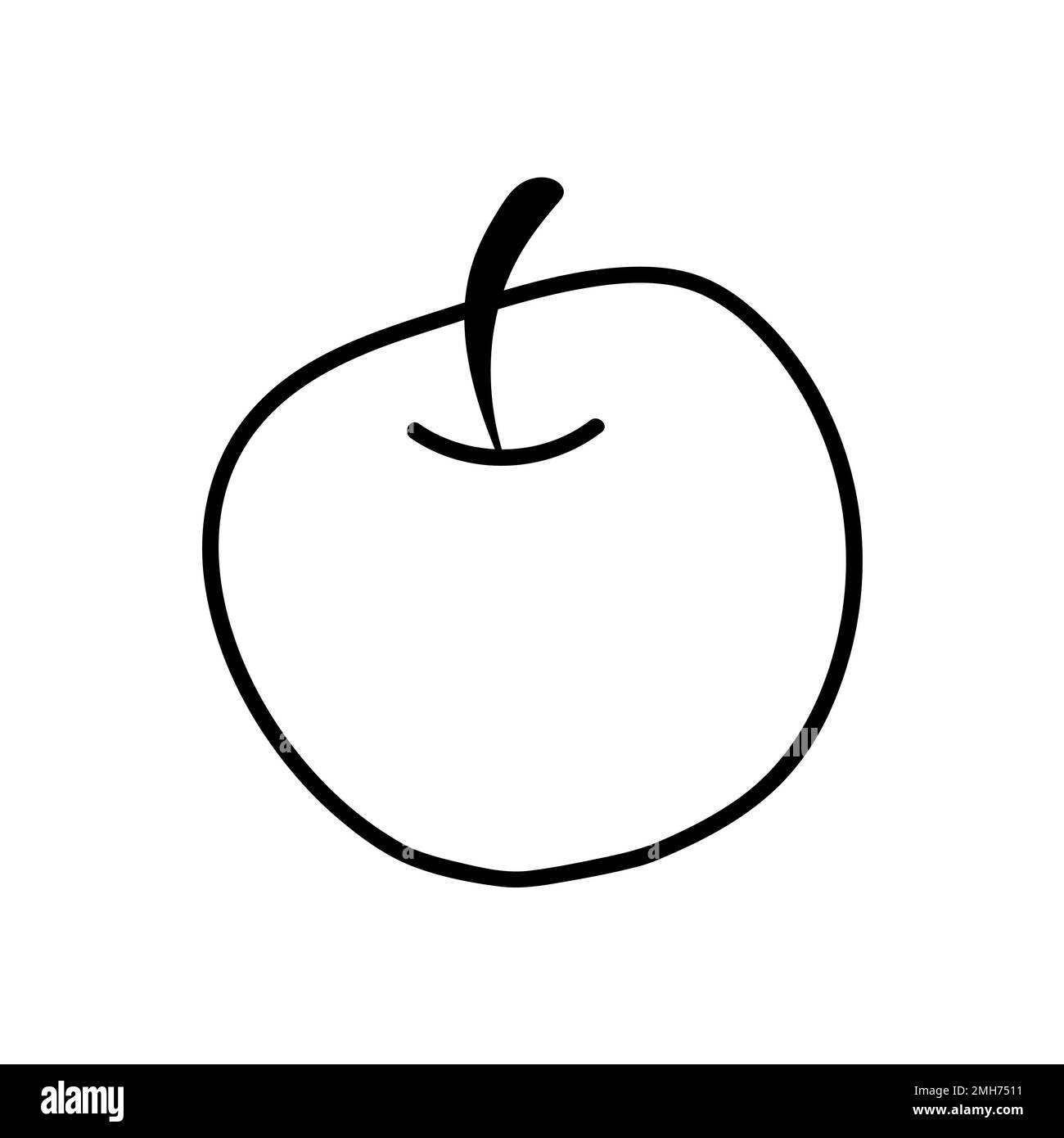 Hand drawn apple Doodle, simple outline illustration Stock Vector Image ...
