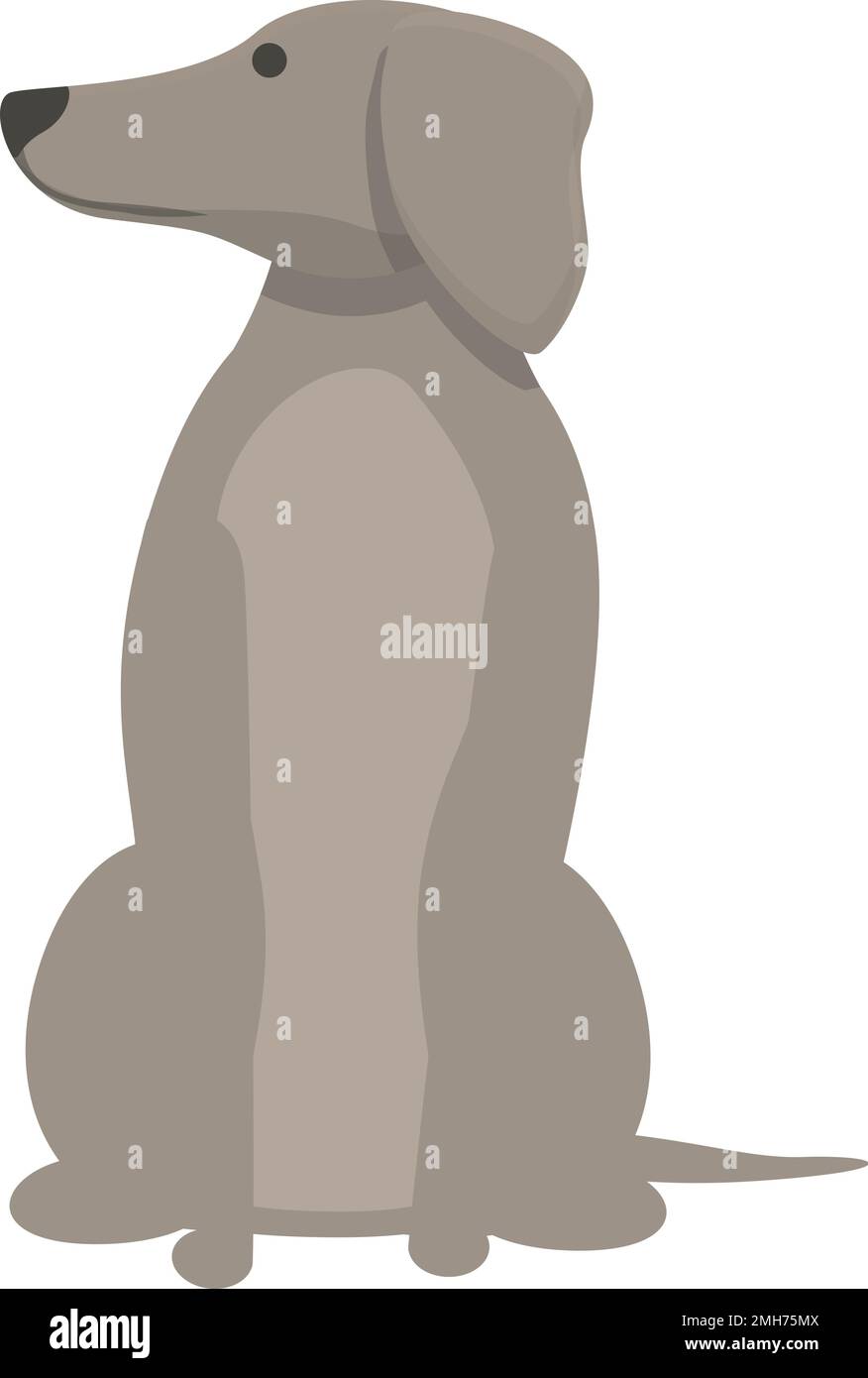 Greyhound stay icon cartoon vector. Animal run. Coast race Stock Vector ...