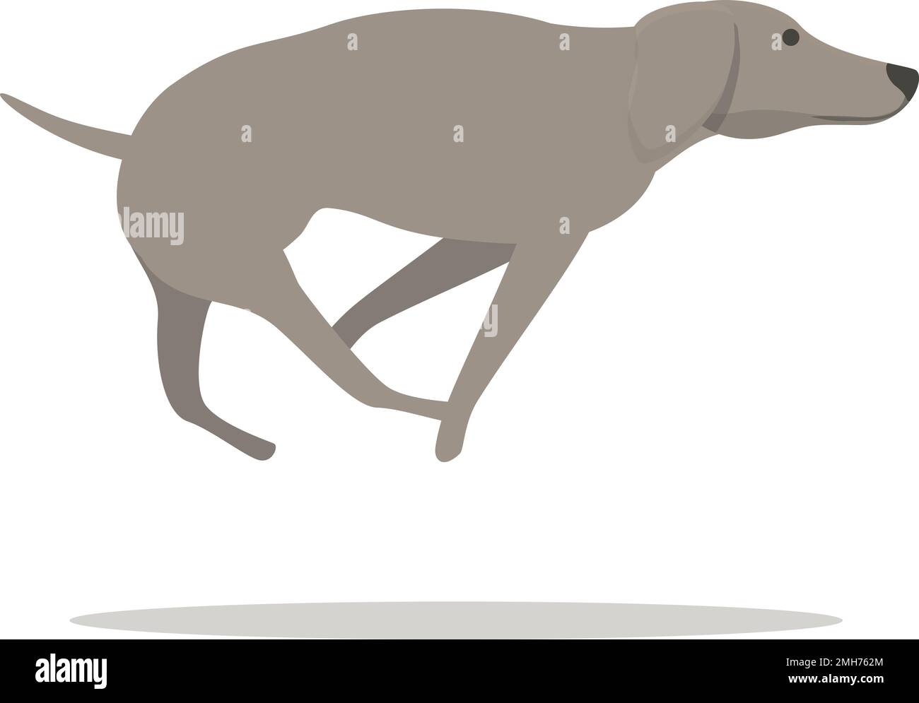 Greyhound run icon cartoon vector. Dog animal. Canine sprint Stock ...