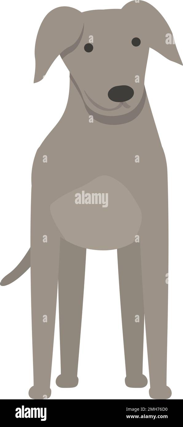 Greyhound standing icon cartoon vector. Animal run. Sprint canine Stock ...