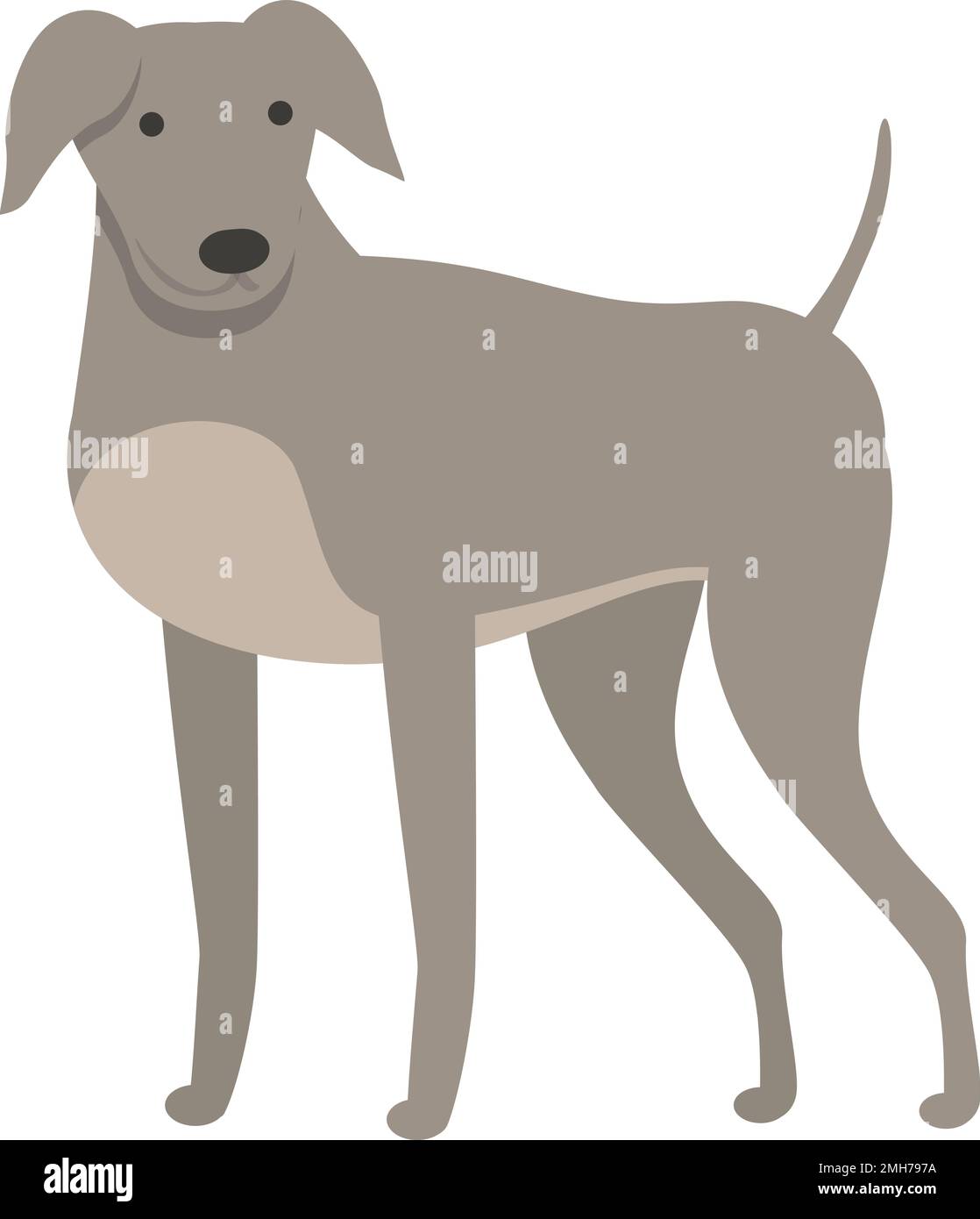 Strong dog chest Stock Vector Images - Alamy