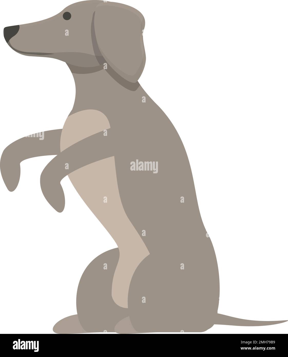 Play greyhound icon cartoon vector. Animal dog. Breed race Stock Vector ...