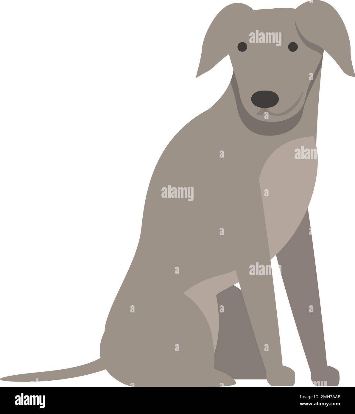 Greyhound leg Stock Vector Images - Alamy