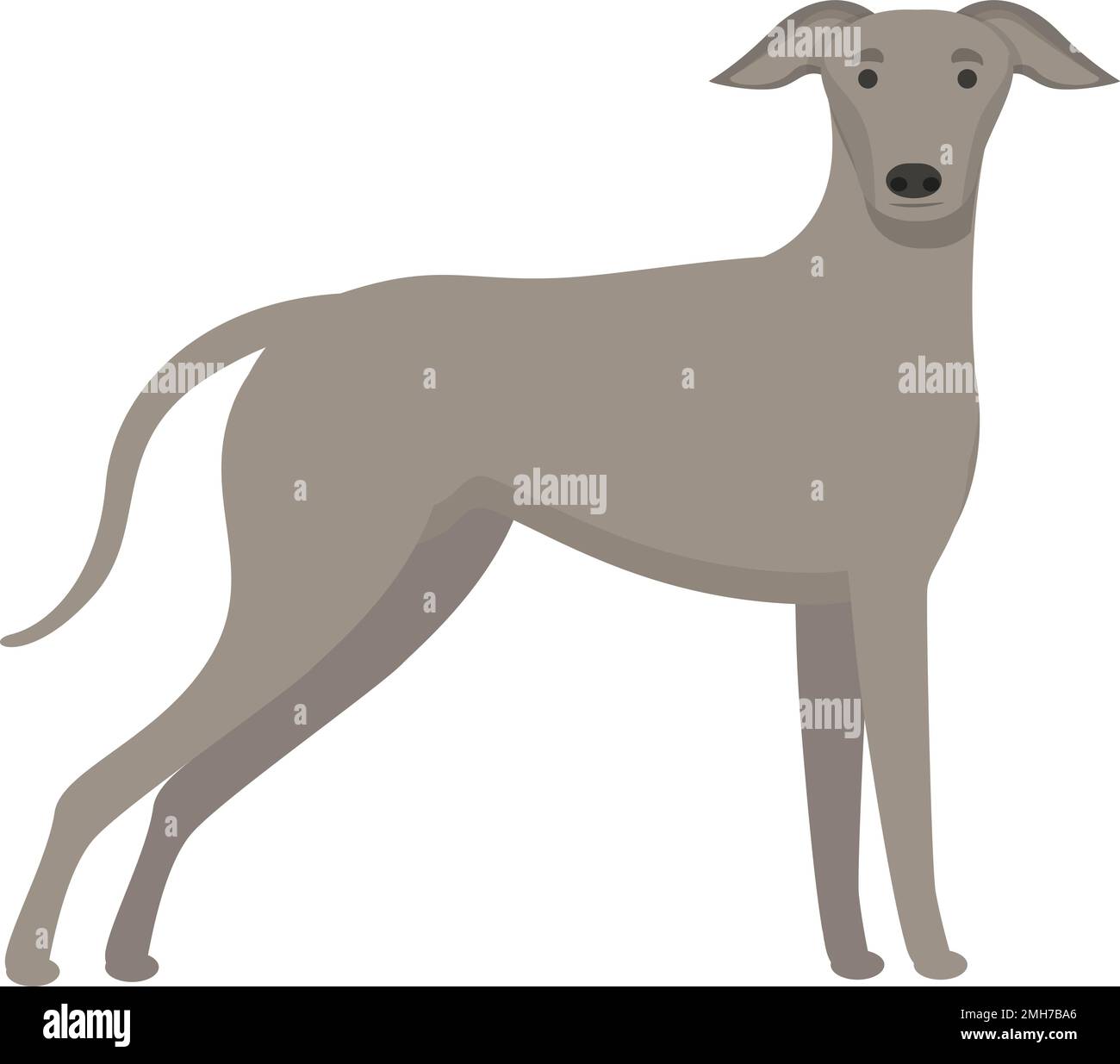 Greyhound icon cartoon vector. Animal run. Canine race Stock Vector ...