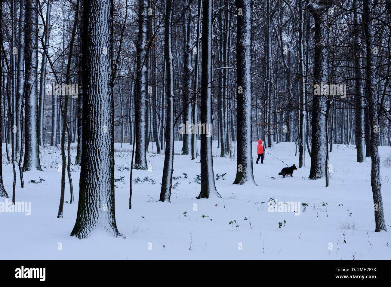 Mystery cold hi-res stock photography and images - Alamy