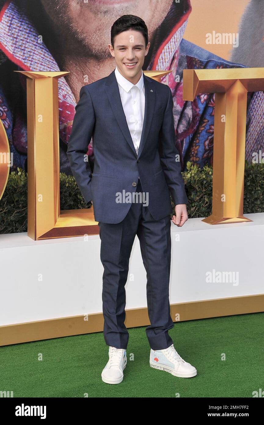 Harry Collett attends the LA premiere of "Dolittle" at the Regency ...
