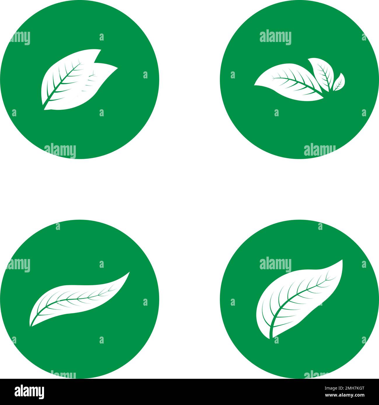 leaf logo icon vektor illustration design Stock Vector Image & Art - Alamy