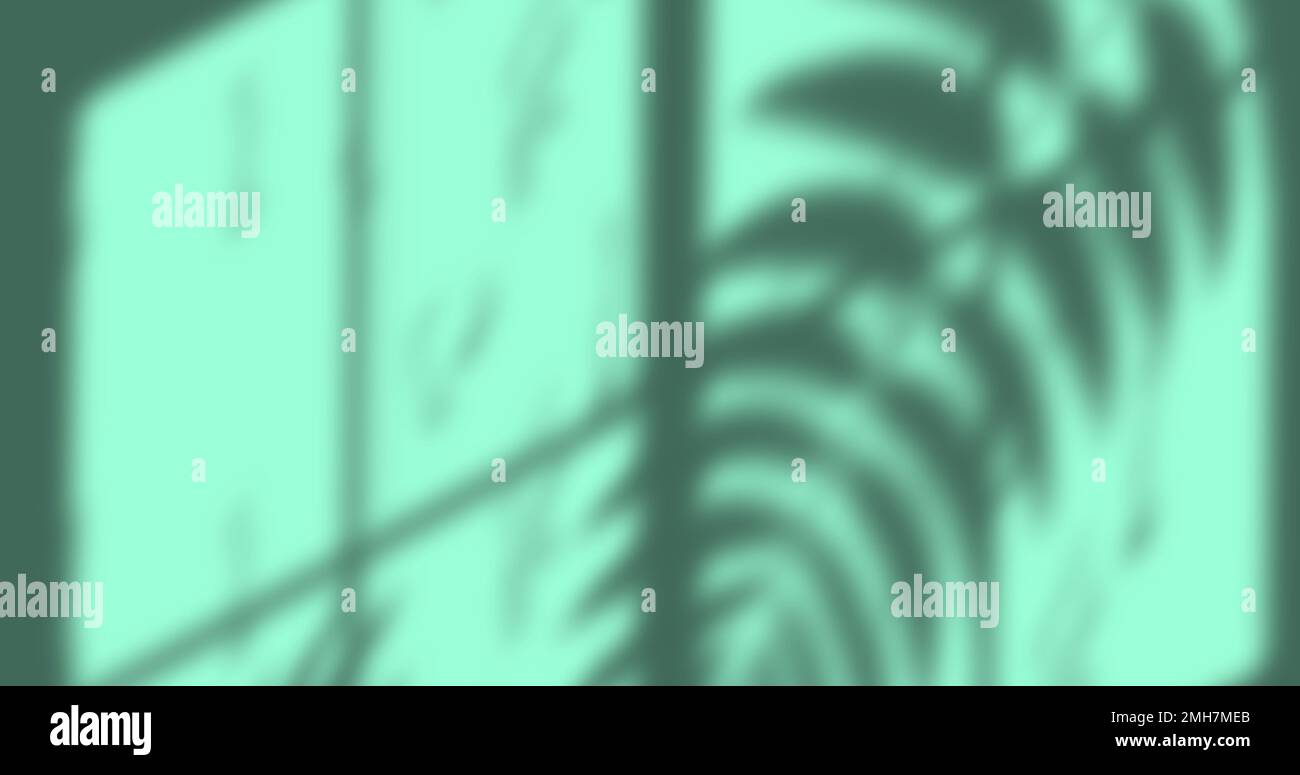 Leaf pattern hi-res stock photography and images - Alamy