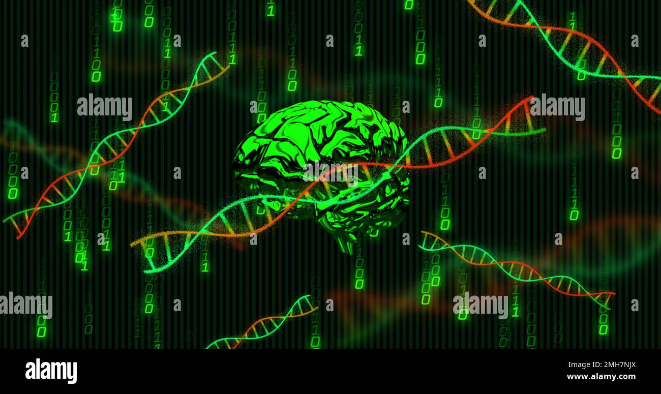 Composite Of Human Brain Dna Strands Binary Coding And Data