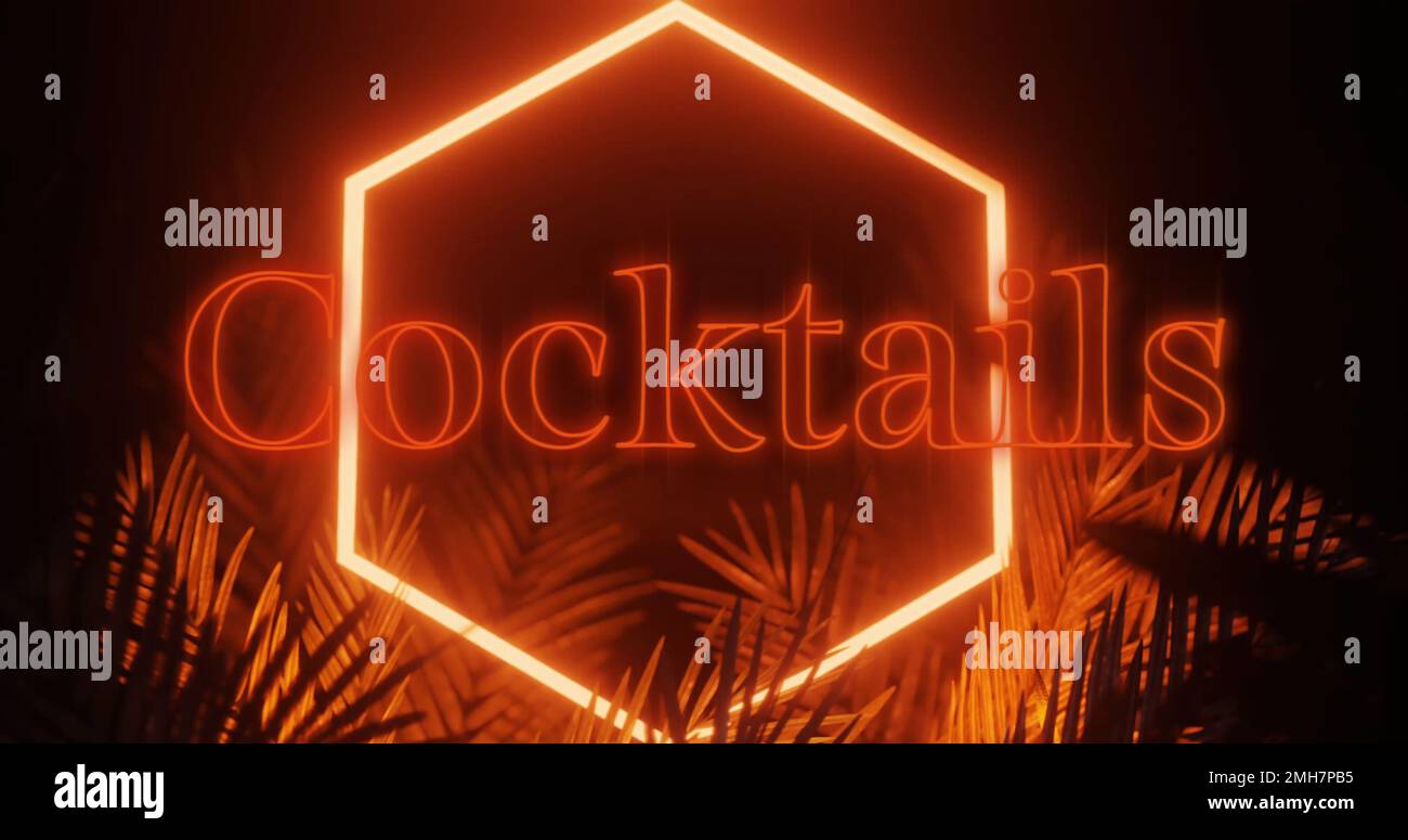 Composition of cocktails text with neon shape and leaves on black ...
