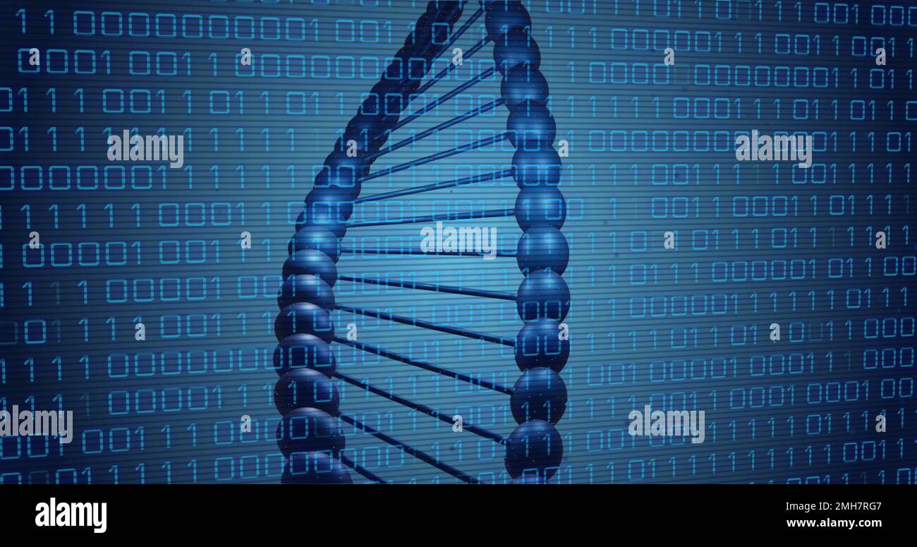 Image of dna rotating over binary code on blue background Stock Photo ...
