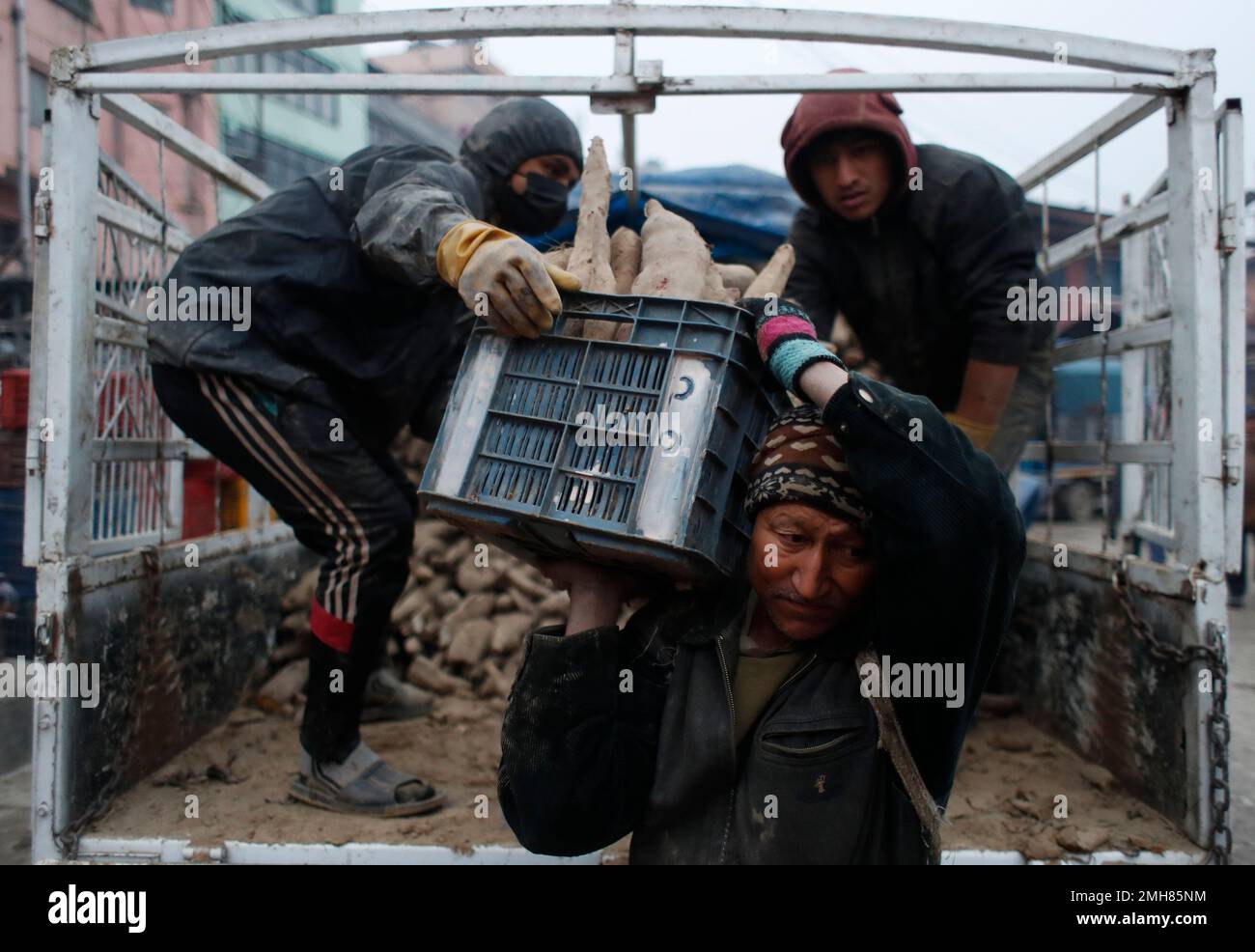 Nepalese porters unload yam at the kalimati vegetable market in ...