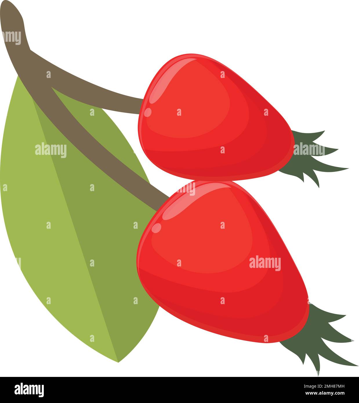 Berry rosehip icon cartoon vector. Forest food. Organic red Stock ...