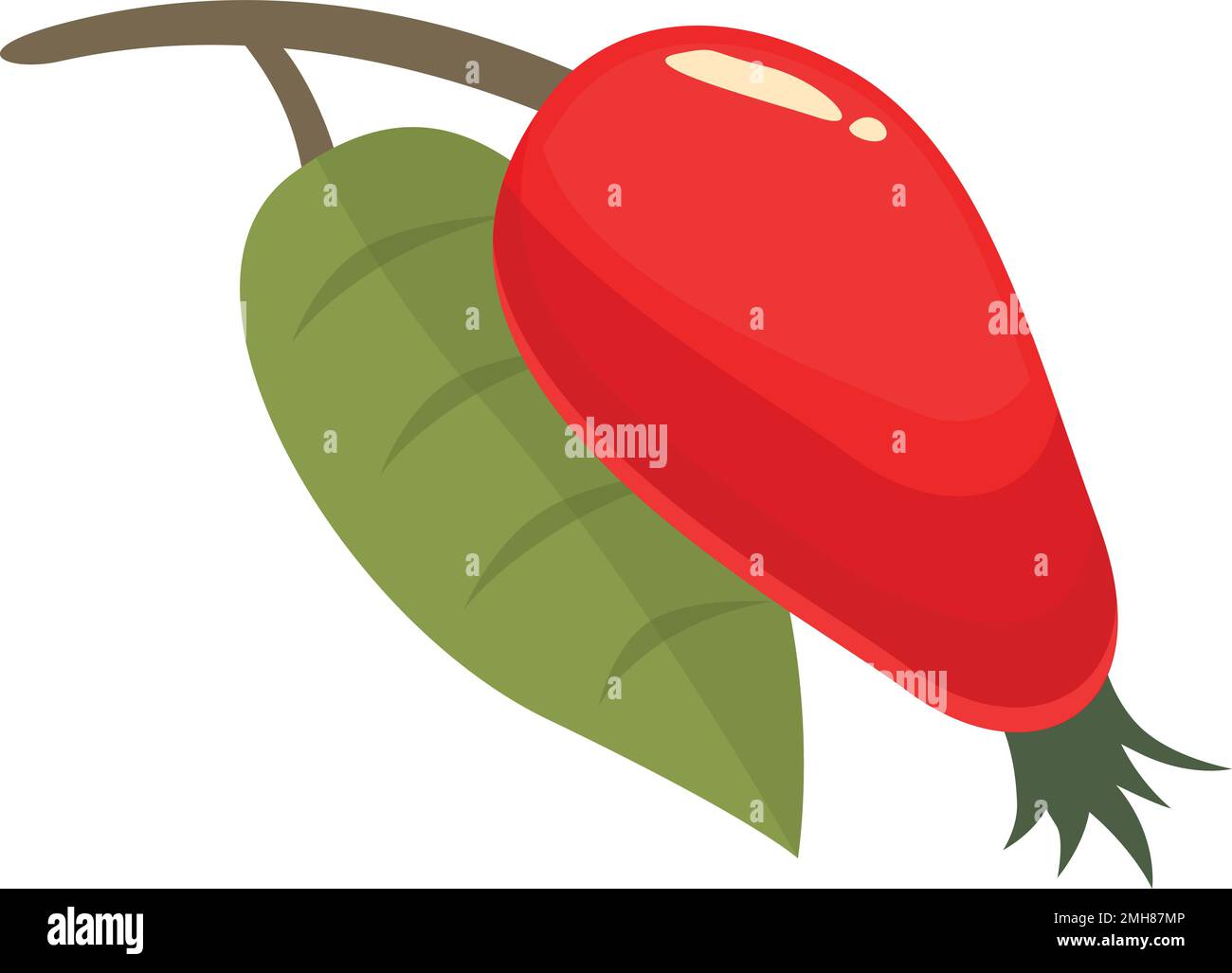 Forest rosehip icon cartoon vector. Berry food. Vitamin ripe Stock ...