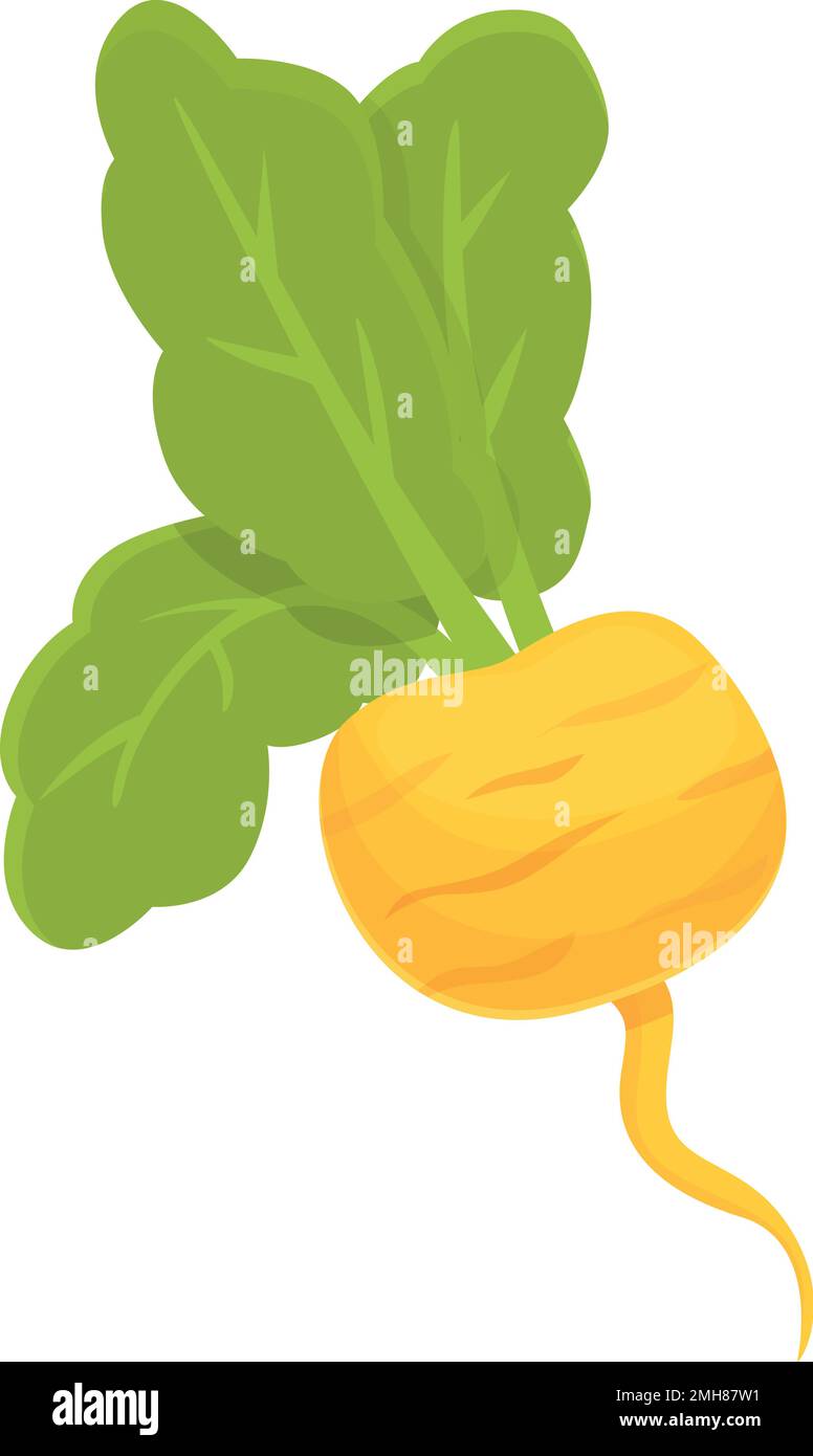 Cooking root icon cartoon vector. Green radish. Food farm Stock Vector ...