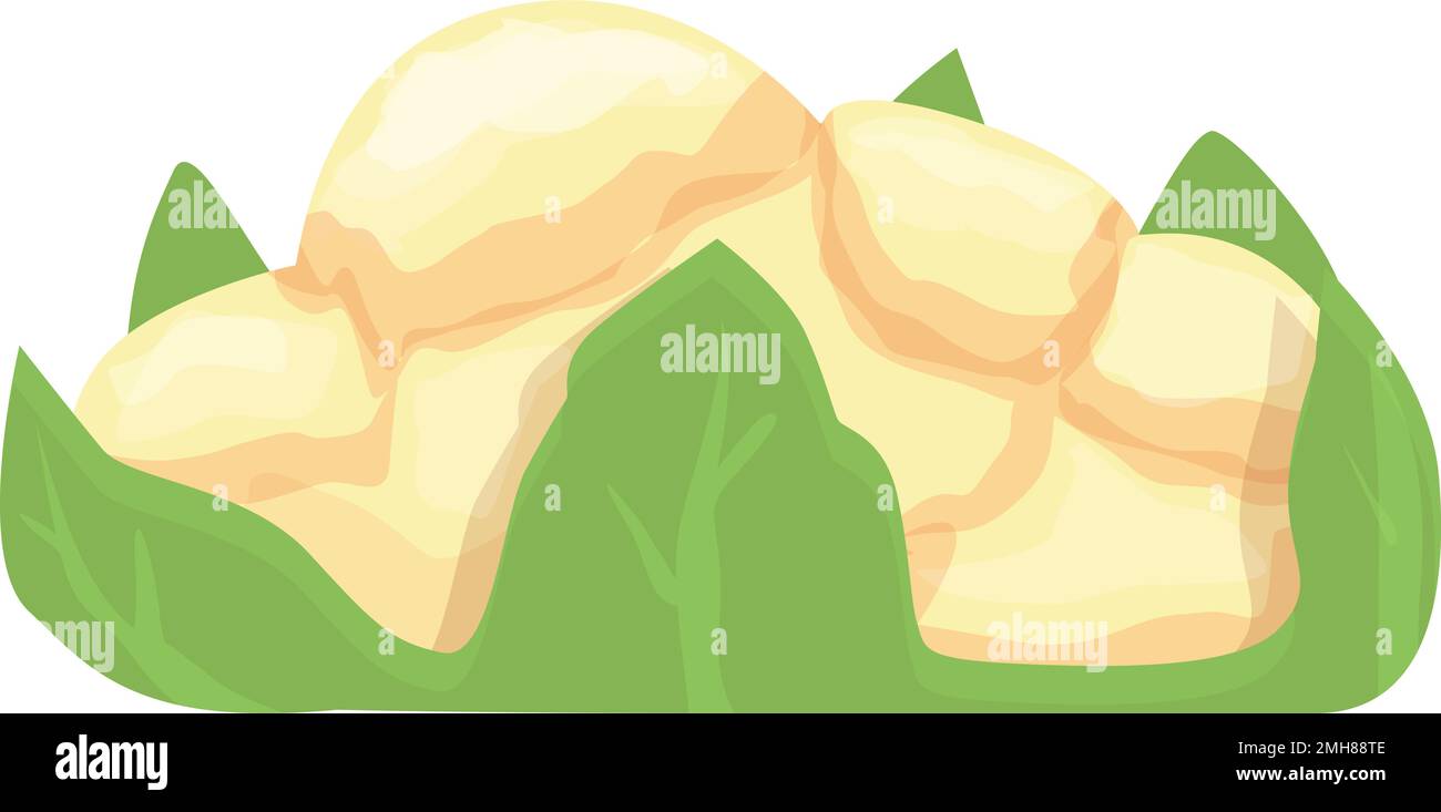 Broccoli cauliflower icon cartoon vector. Cabbage food. Organic farm ...