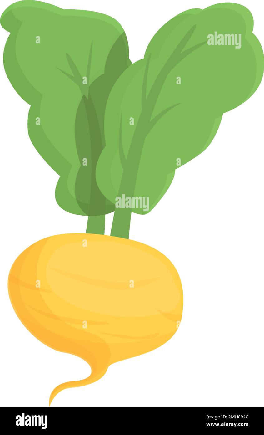Vegetarian root icon cartoon vector. Green turnip. Food farm Stock ...