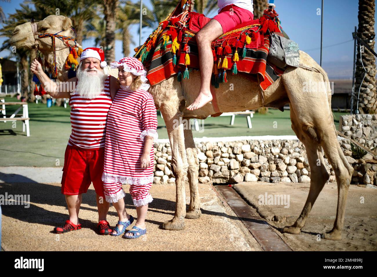 Members ers of a group of trained Santa Clauses from Europe and the USA ...