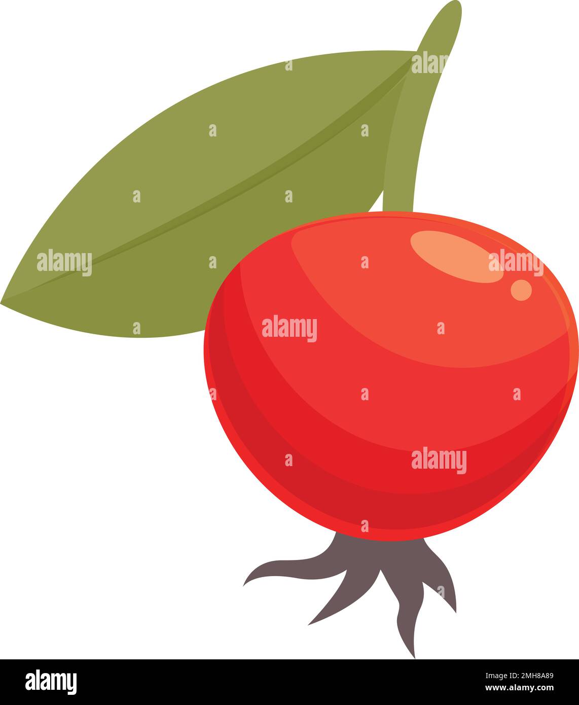 Harvest rosehip icon cartoon vector. Berry food. Organic vitamin Stock ...