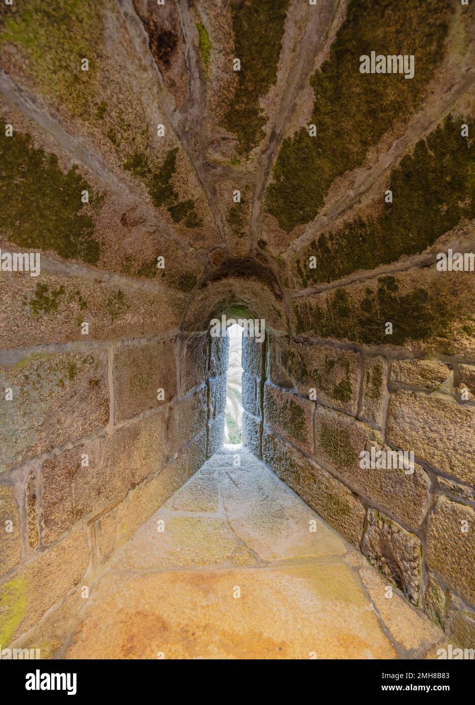 Irmandina hi-res stock photography and images - Alamy